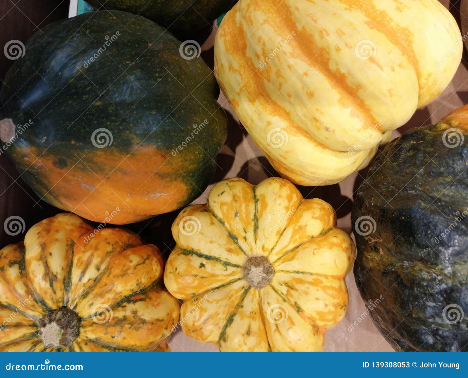 Squash Vegetables stock image. Image of squash, food - 139308053
