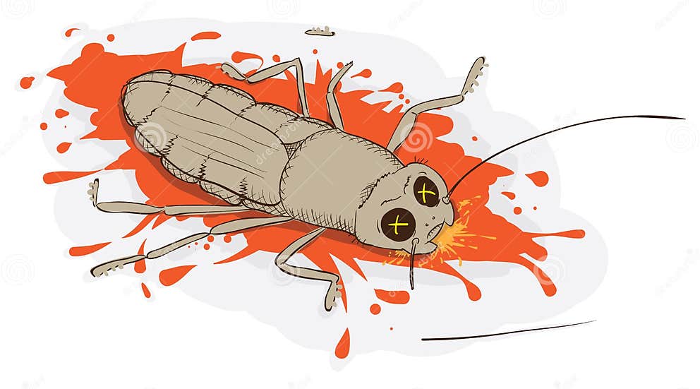 Squashed cockroach stock vector. Illustration of cartoon - 25282511