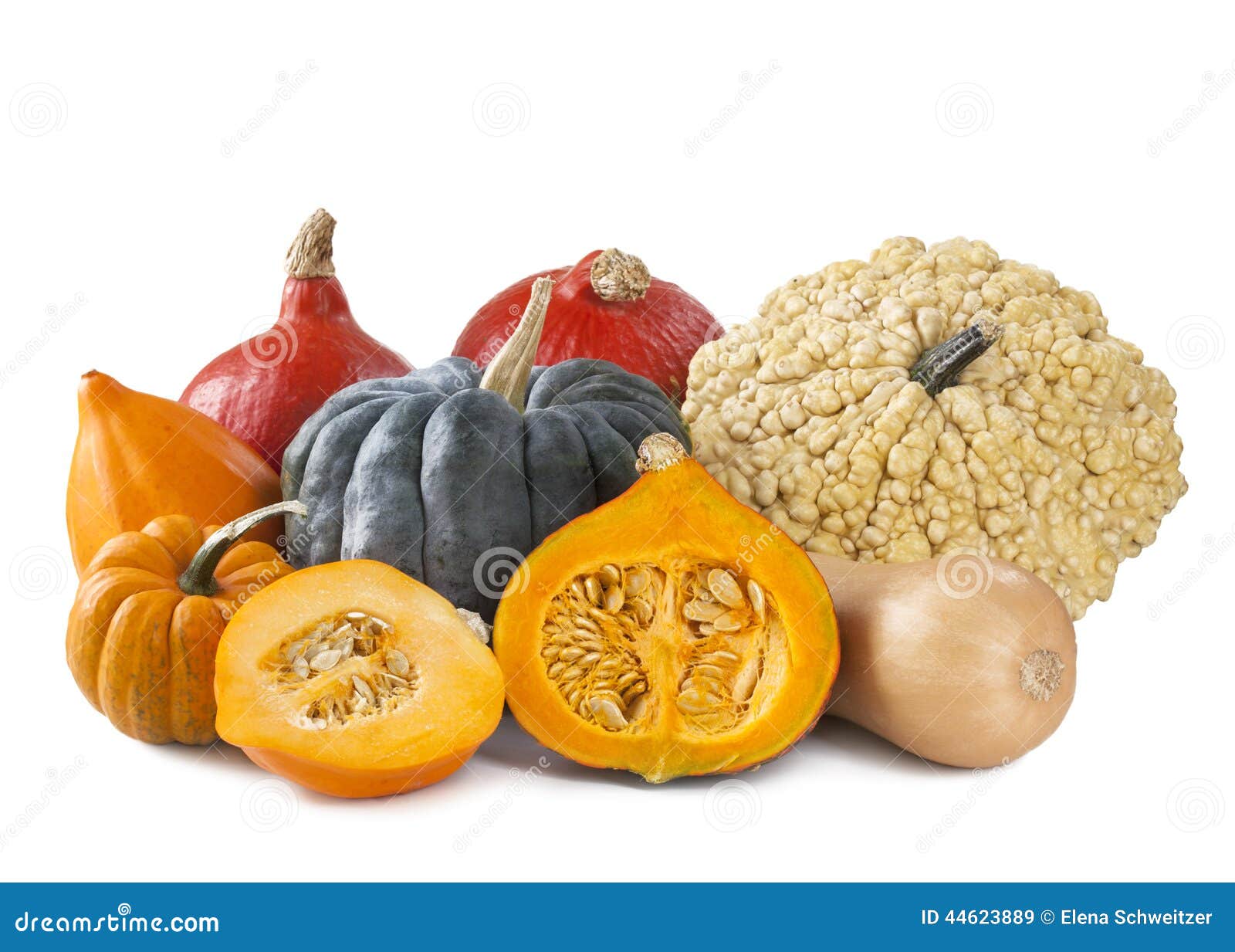 Squashes stock image. Image of assortment, food, ingredient - 44623889