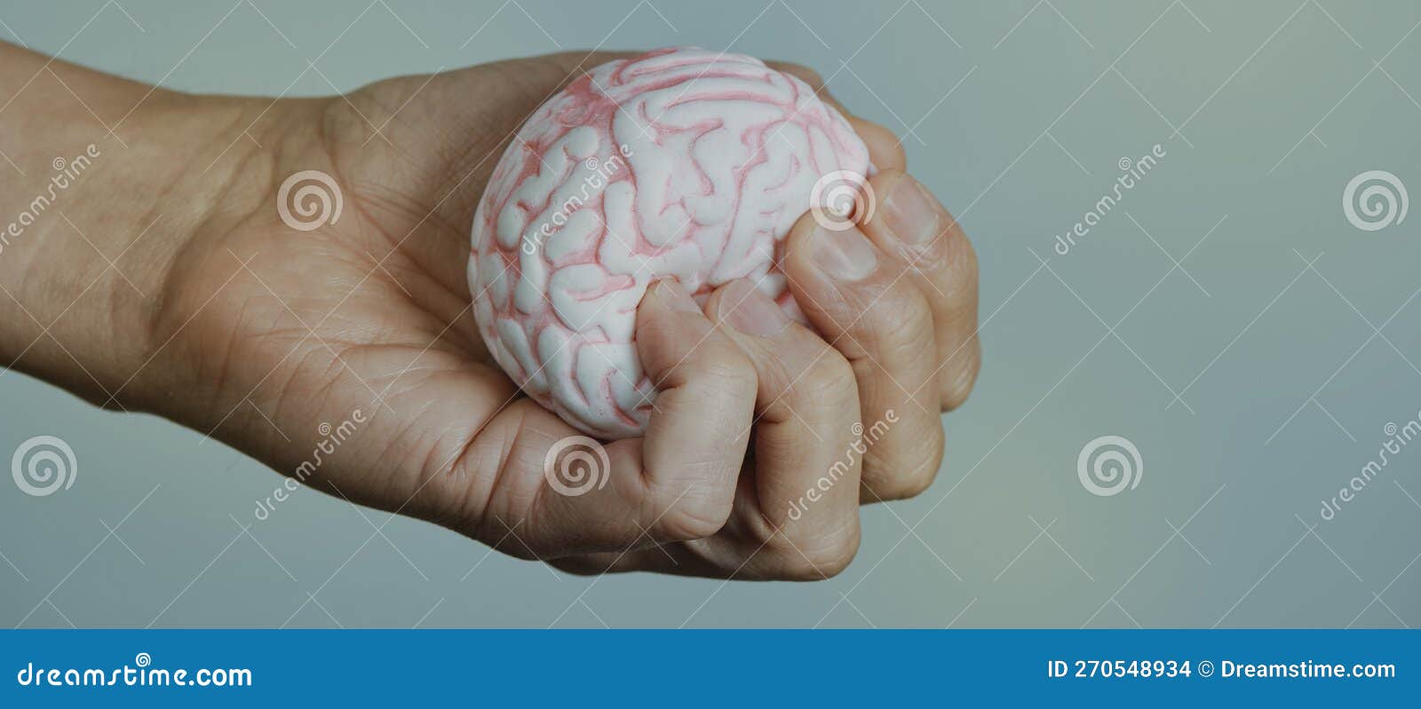 Squeezing a Fake Brain, Web Banner Format Stock Photo - Image of ...