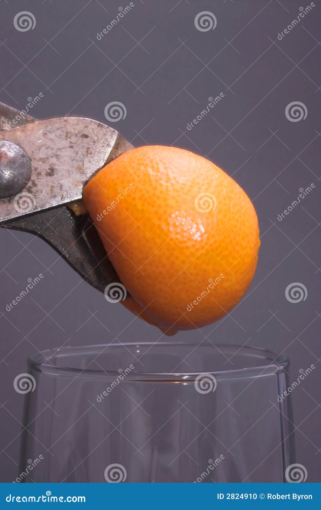 Squeezing an Orange stock photo. Image of fresh, pliers - 2824910