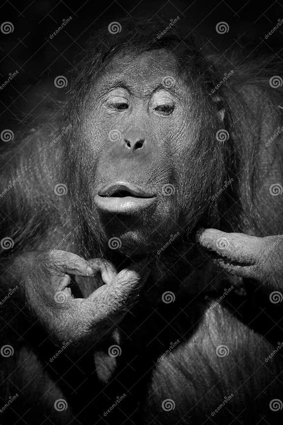 Squeezing pimples stock photo. Image of nipple, island - 12854676