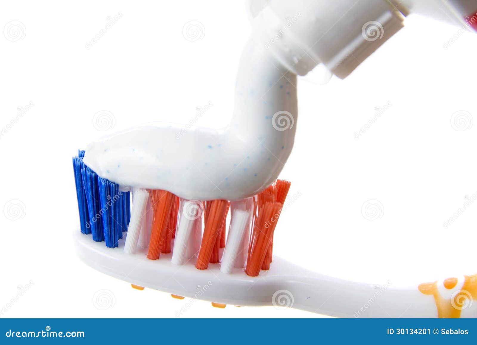 Squeezing Toothpaste Onto Toothbrush Stock Image - Image of oral ...