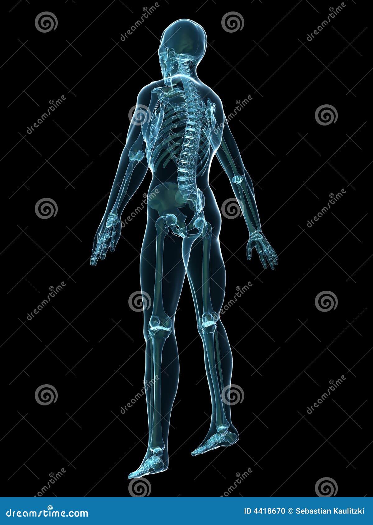 Squelette 3d illustration stock. Illustration du arthrite - 4418670