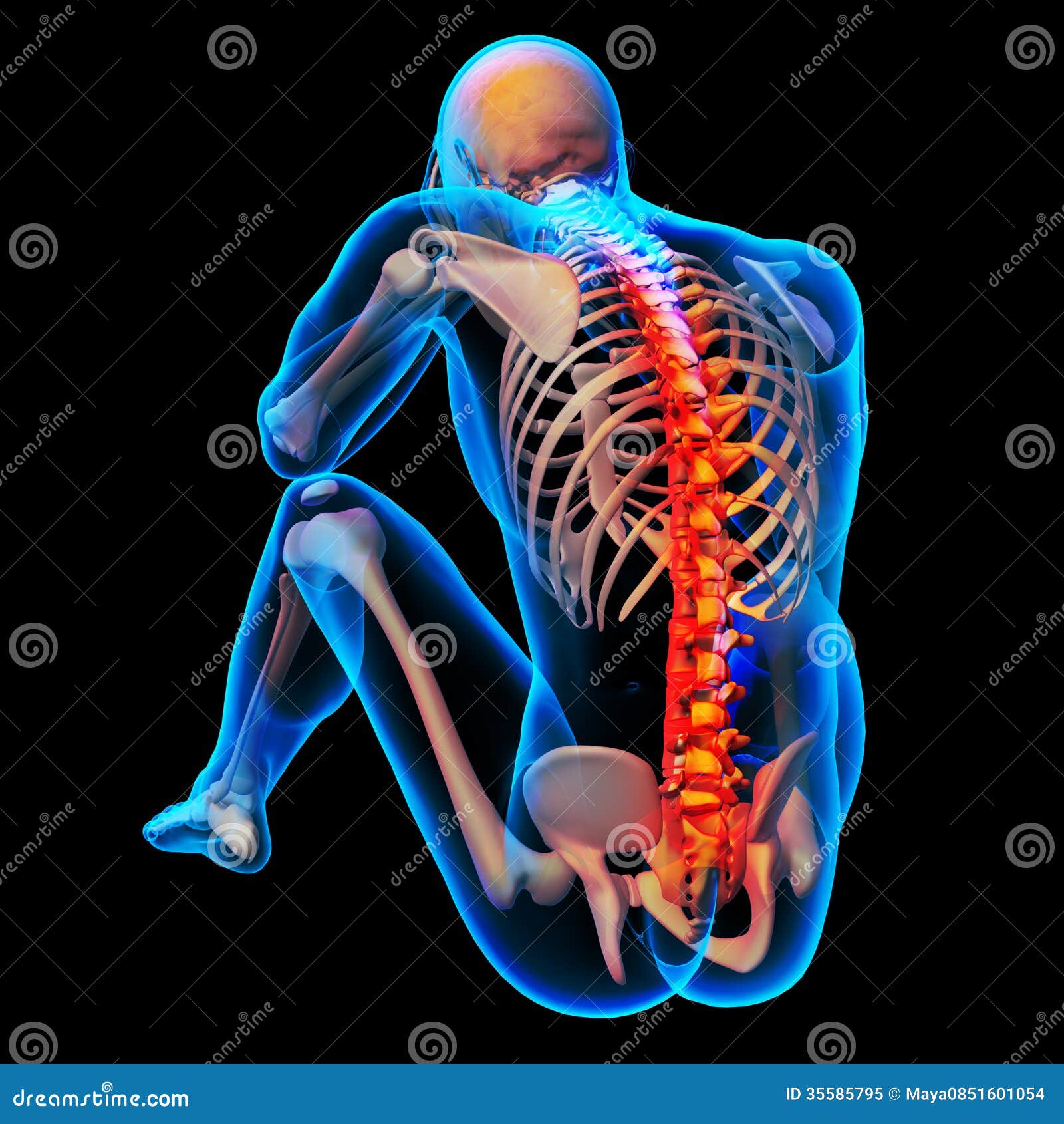 Squelette de l'homme illustration stock. Illustration du squelette ...