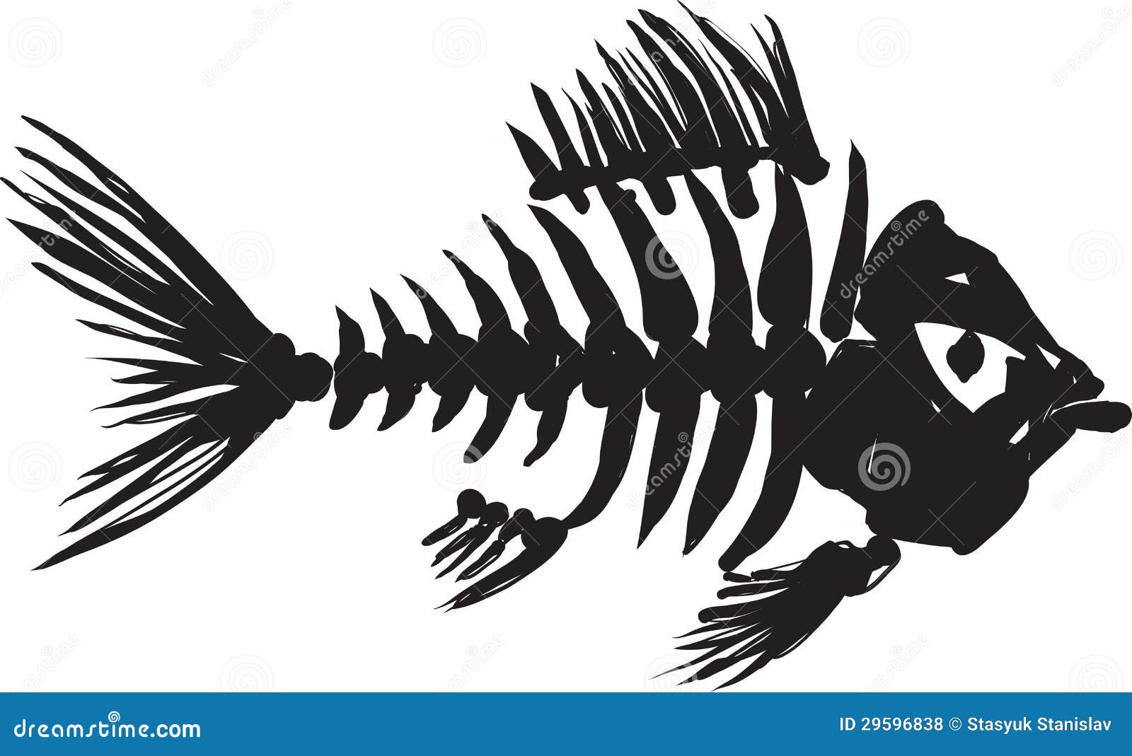 Squelette de poissons illustration de vecteur. Illustration du modifié ...