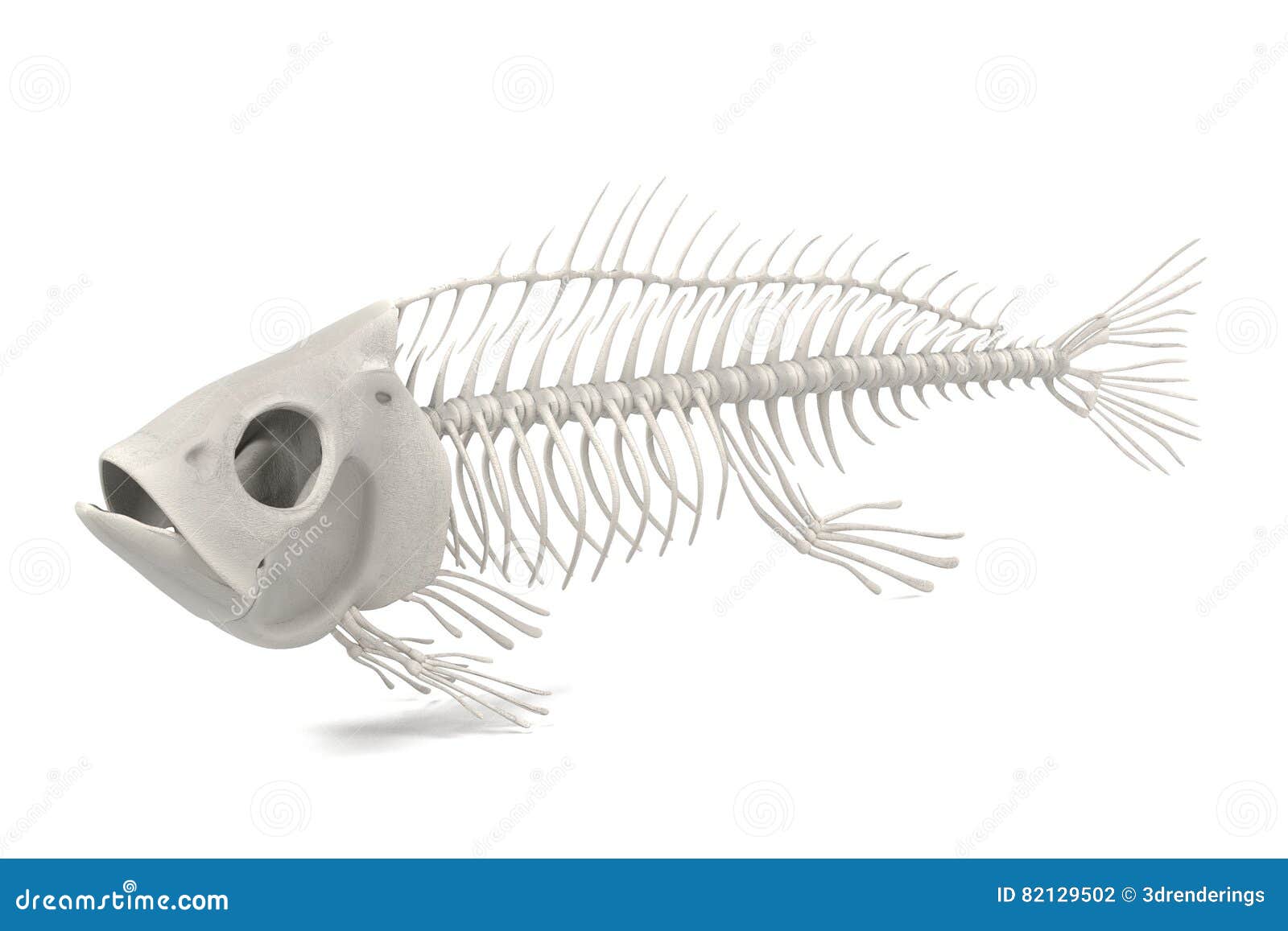 Squelette de poissons illustration stock. Illustration du squelettique ...