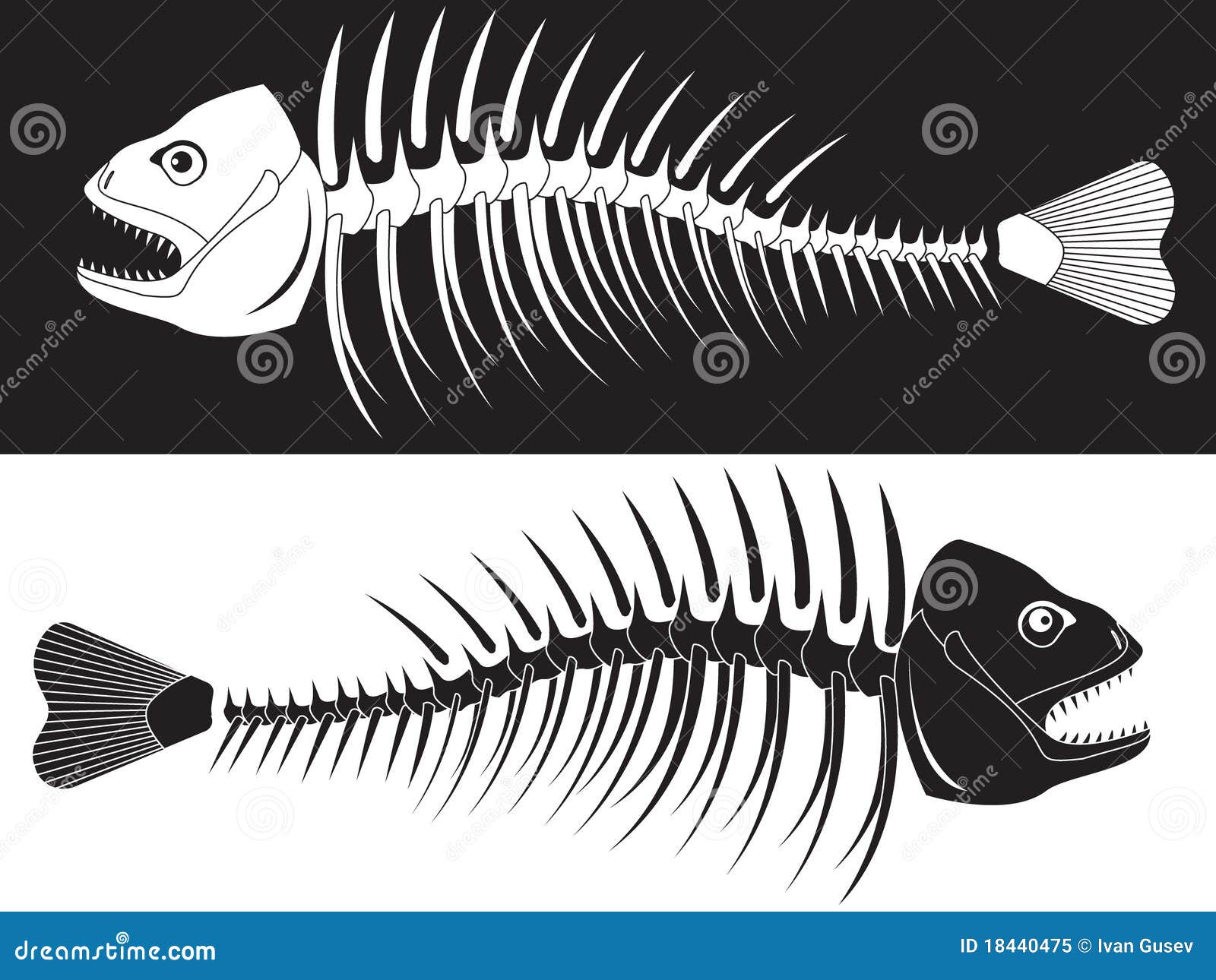 Squelette des poissons illustration de vecteur. Illustration du ...