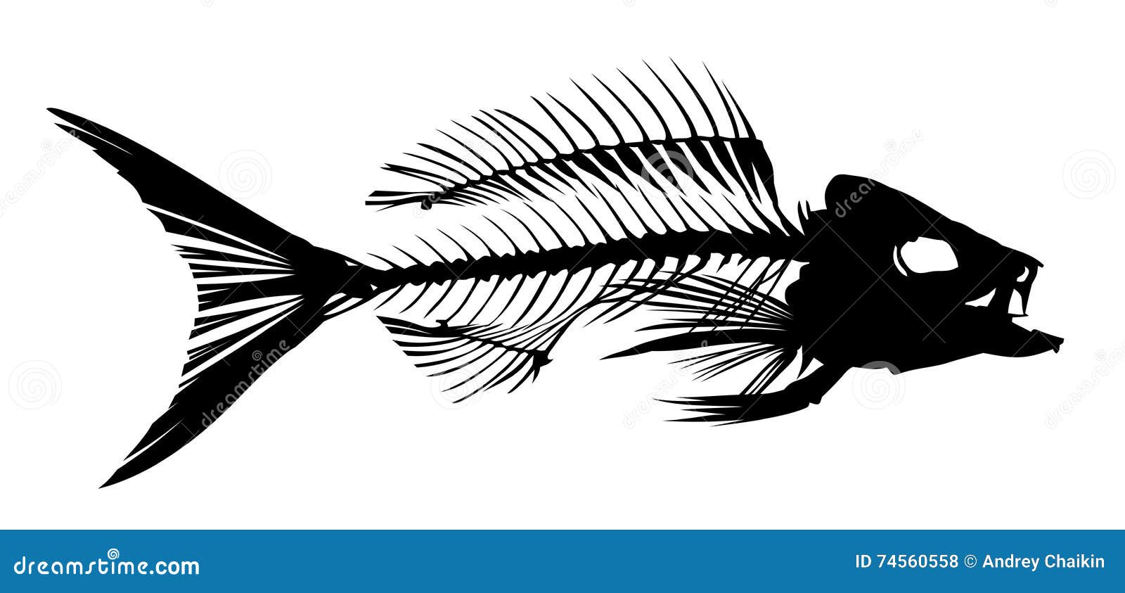 Squelette des poissons illustration de vecteur. Illustration du grand ...