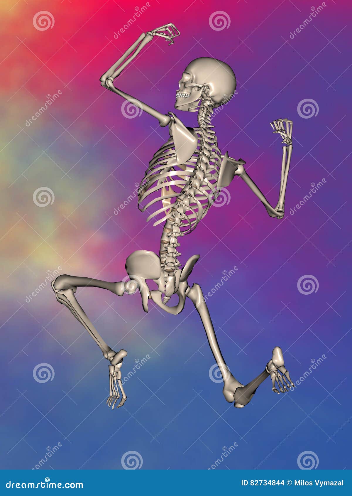 Squelette humain M-SK-POSE illustration stock. Illustration du science ...