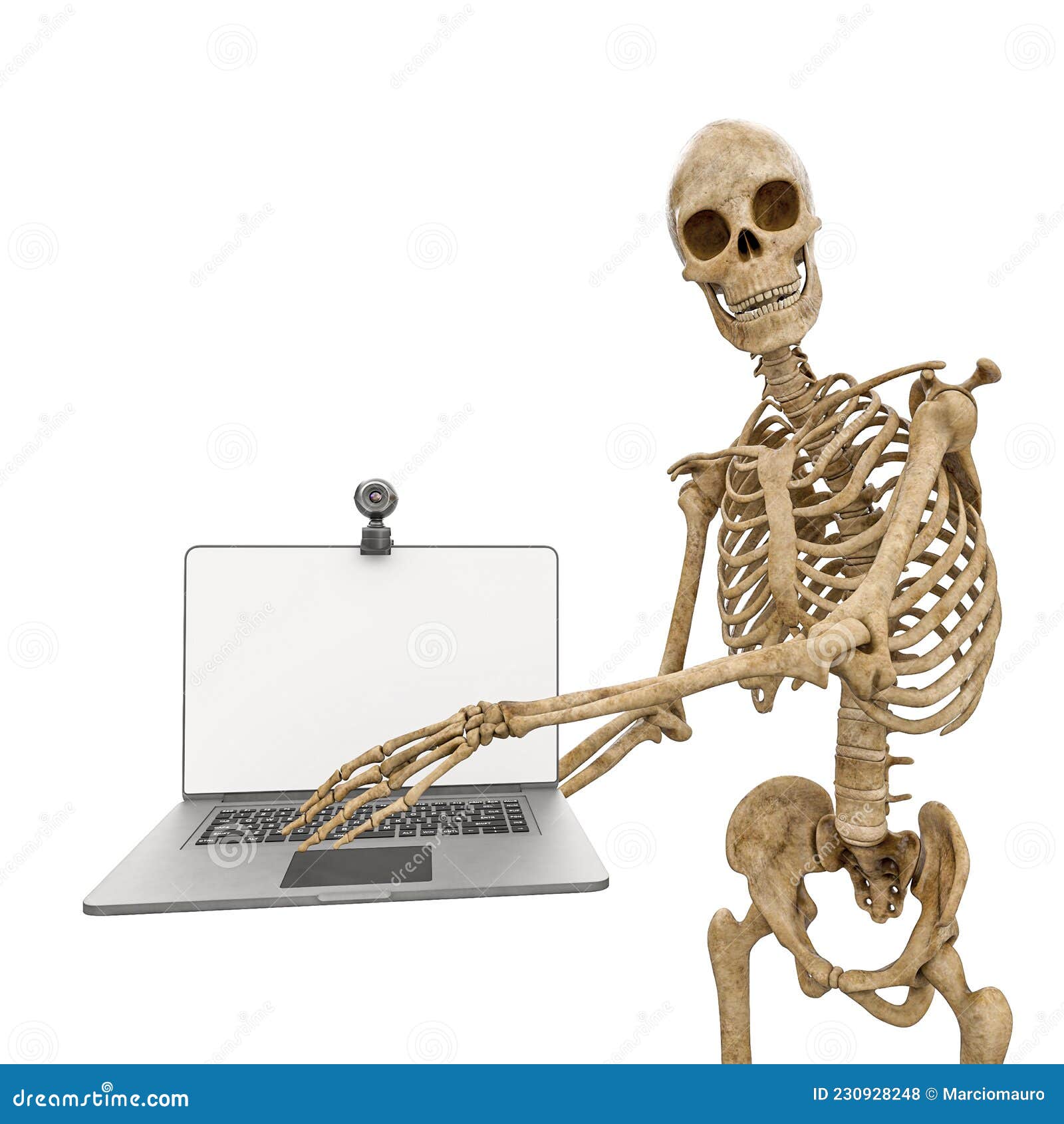 Squelette Tient Un Ordinateur Portable Illustration Stock ...