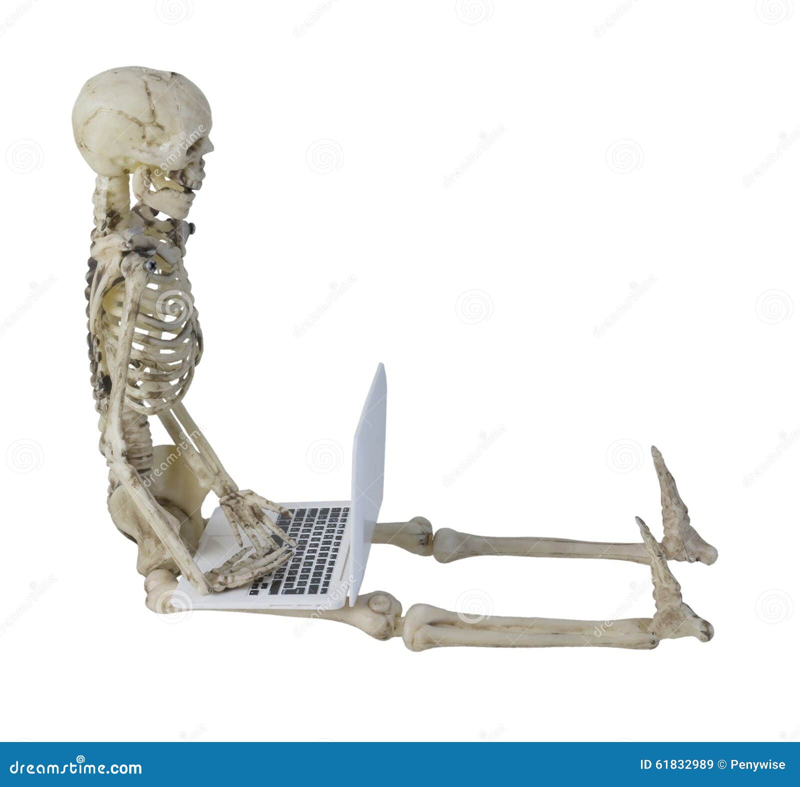 Squelette Utilisant L'ordinateur Portable Image stock - Image du ...
