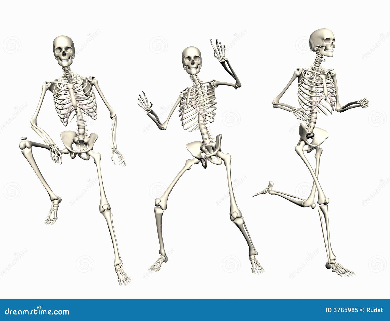 Squelettes illustration stock. Illustration du médecine - 3785985