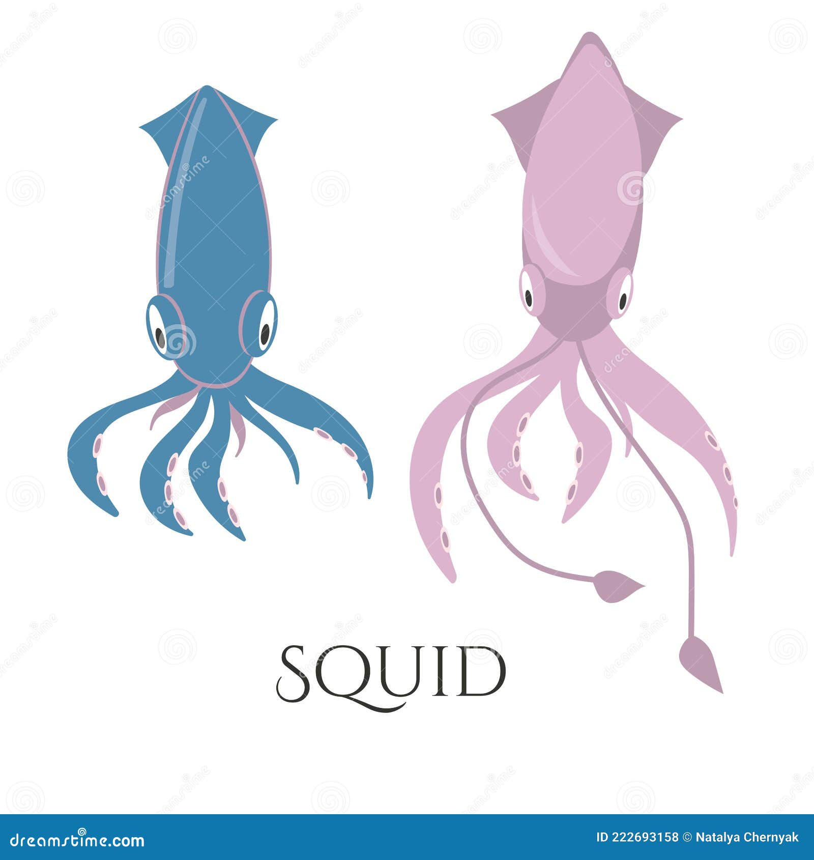 Two Pink and Blue Cartoon Squid, Isolated on White Background Stock ...