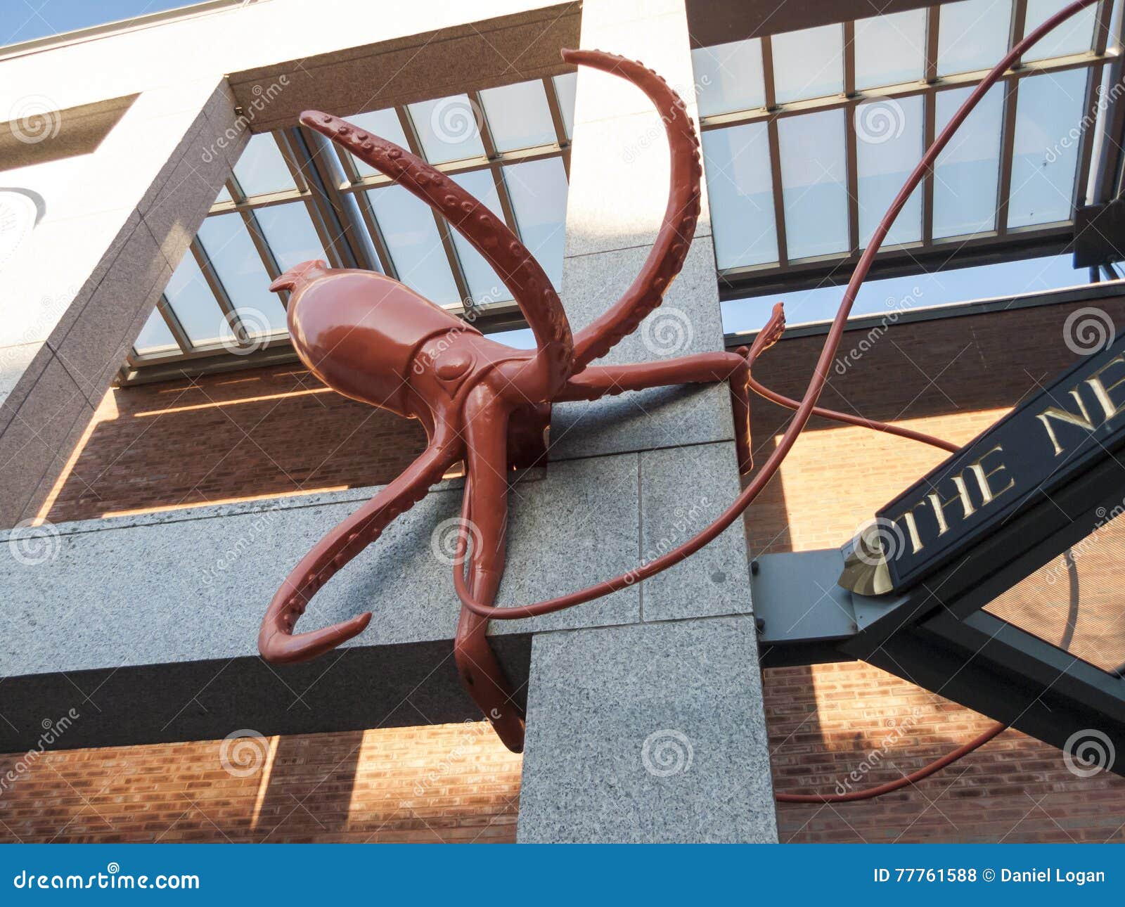 Giant Squid Attacks Sperm Whale Sperm Whale Eats Squid On Display At The National History