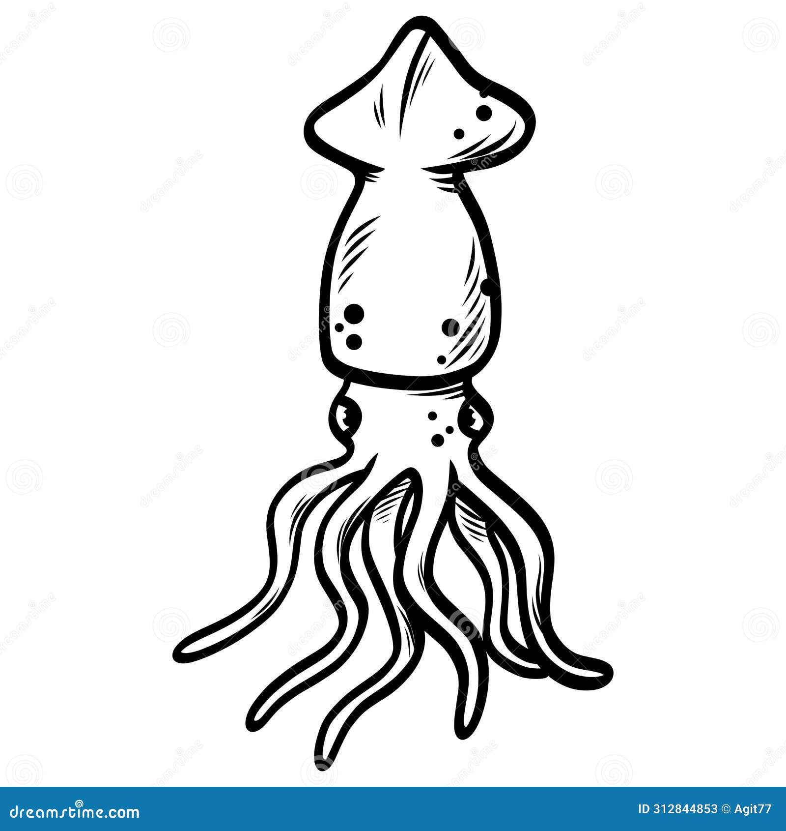Squid Cuttlefish Doodle Art Drawing Vector Illustration Stock ...