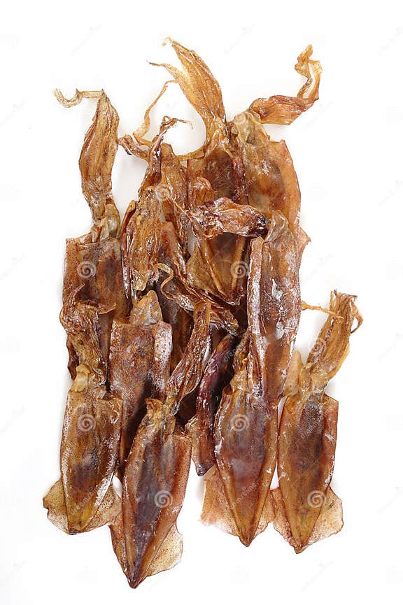 Squid stock photo. Image of brown, squid, protein, food - 54546854