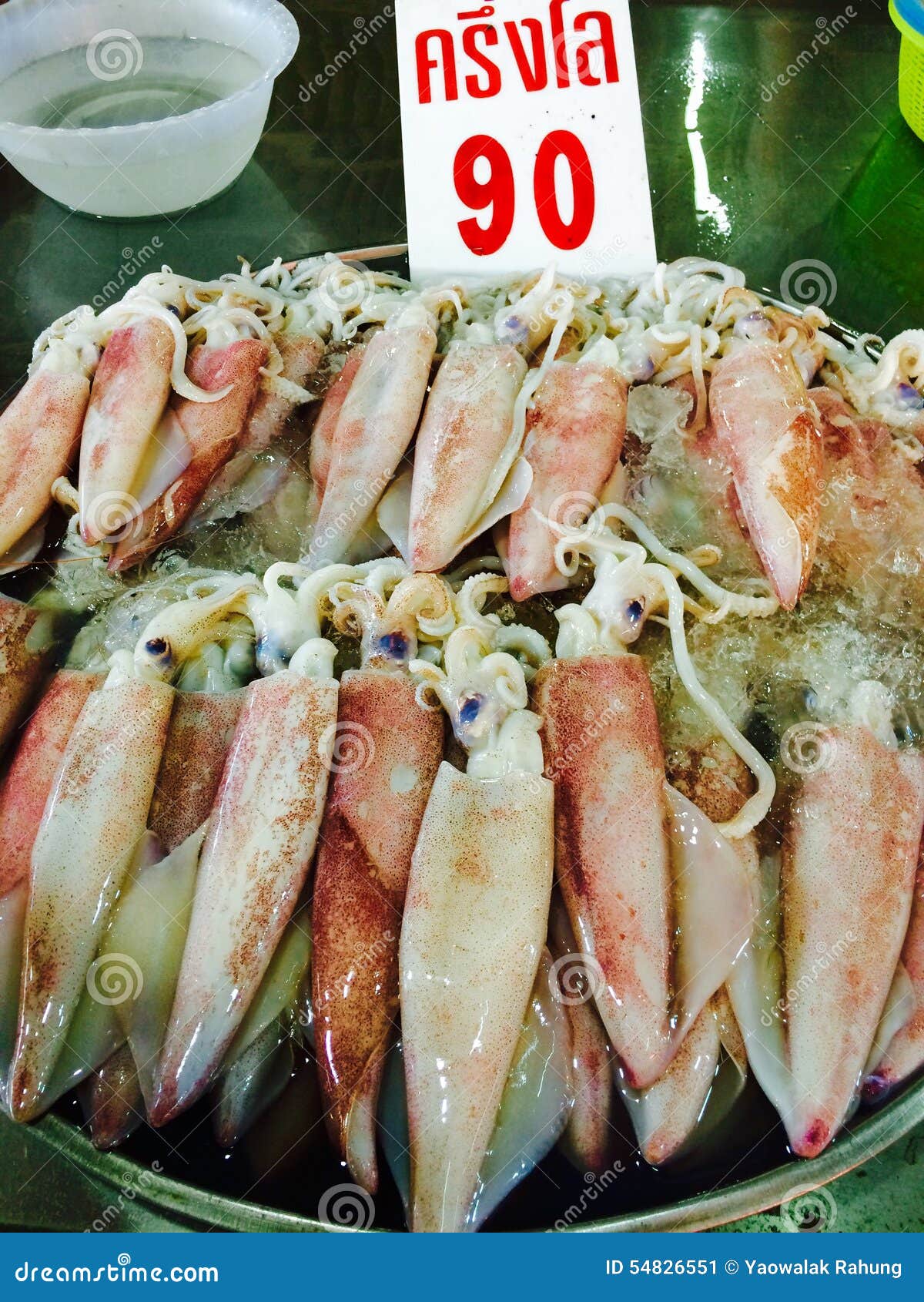 Squid stock image. Image of food, sell, peppers, feedstock - 54826551