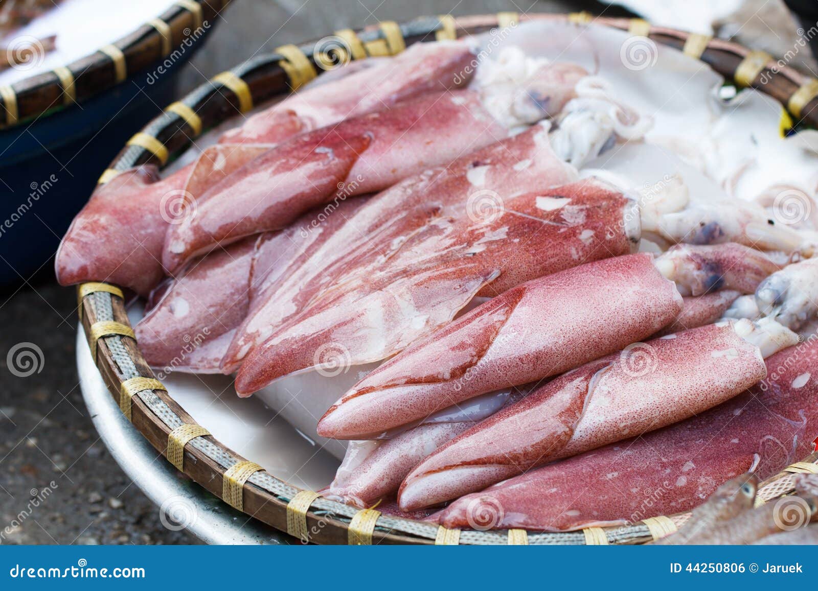 Squid stock photo. Image of purple, natural, squid, invertebrate - 44250806