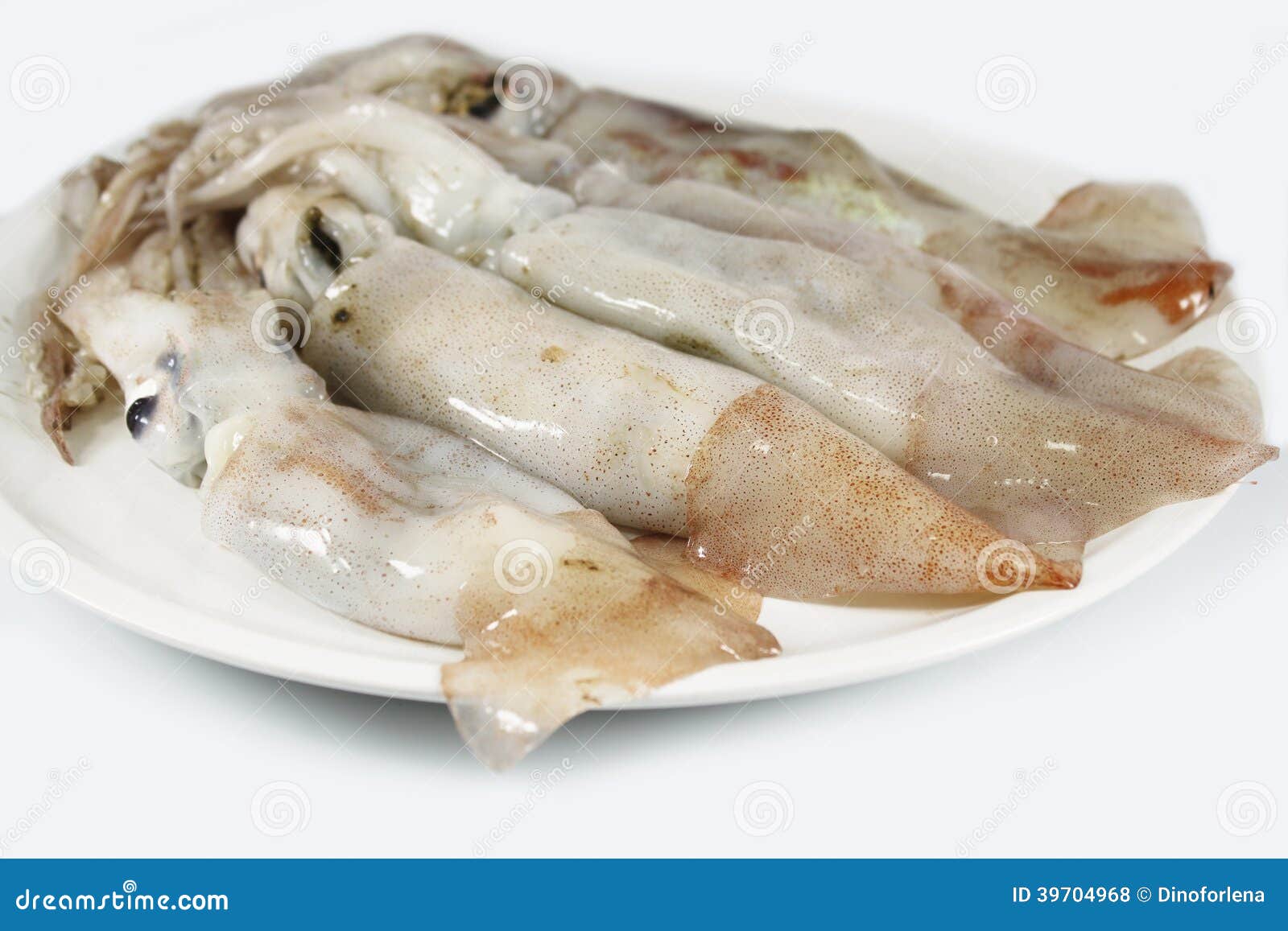 Squid fresh, raw stock photo. Image of closeup, squid - 39704968