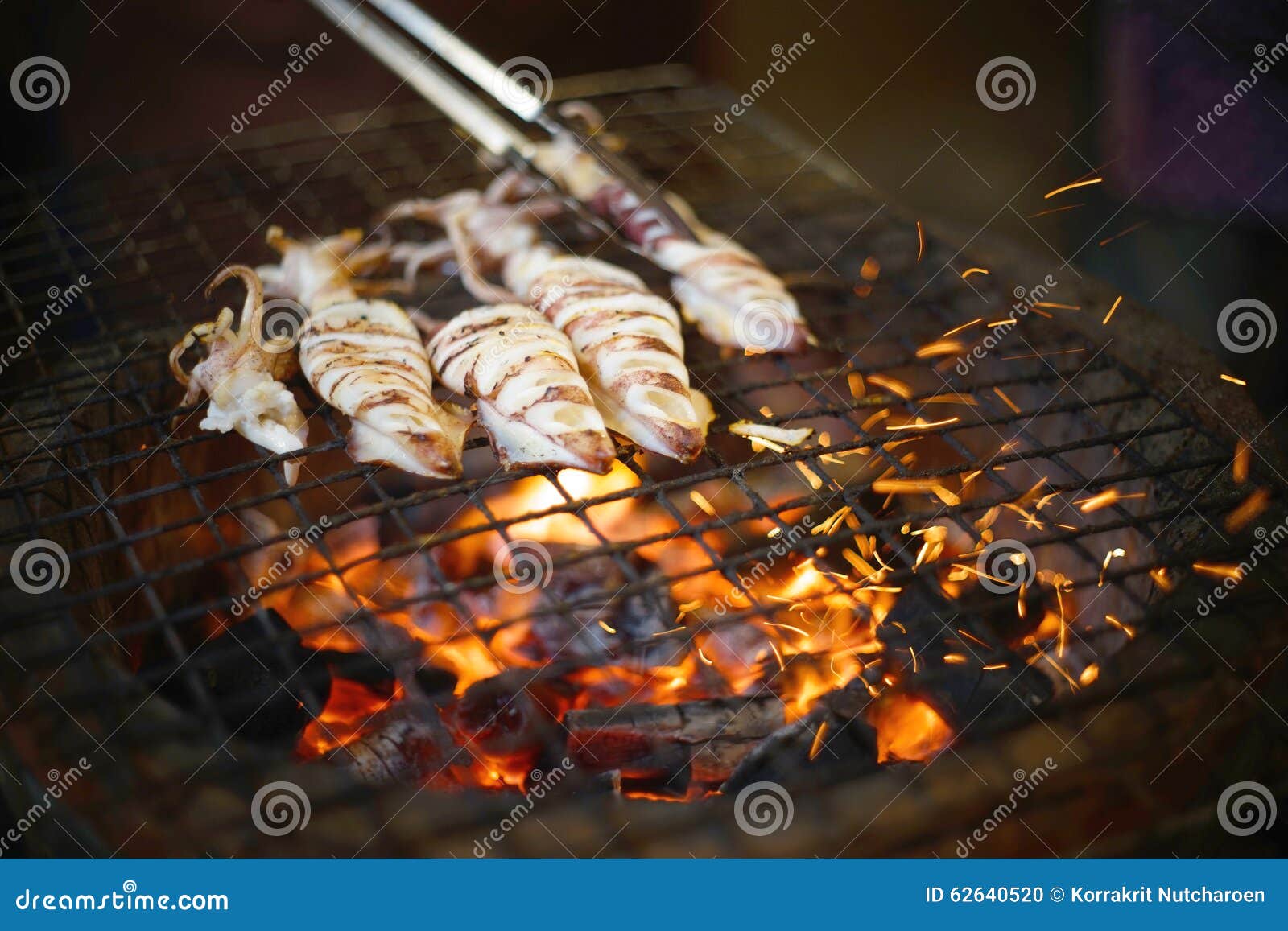 Squid on a grill stock photo. Image of asian, night, grill - 62640520
