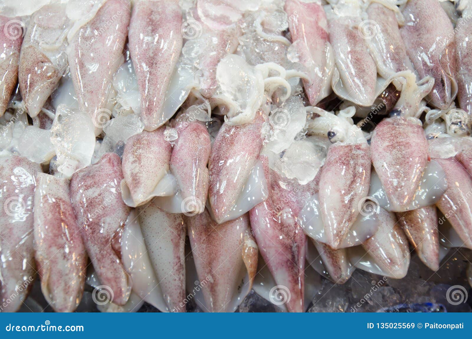 Squid with Ice in Thai Market Stock Image - Image of cooking, food ...