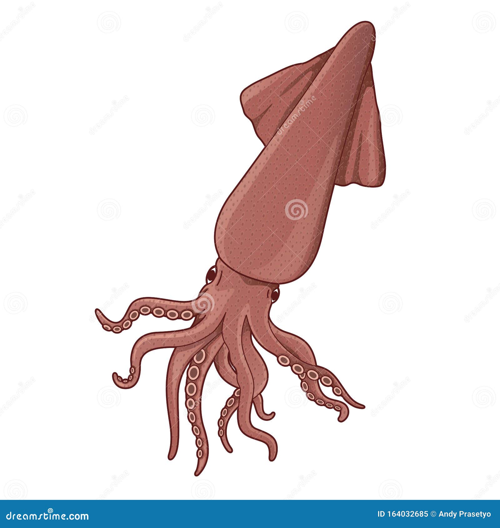 Squid Illustration Vector Illustration Isolated Image White Background Stock Vector ...