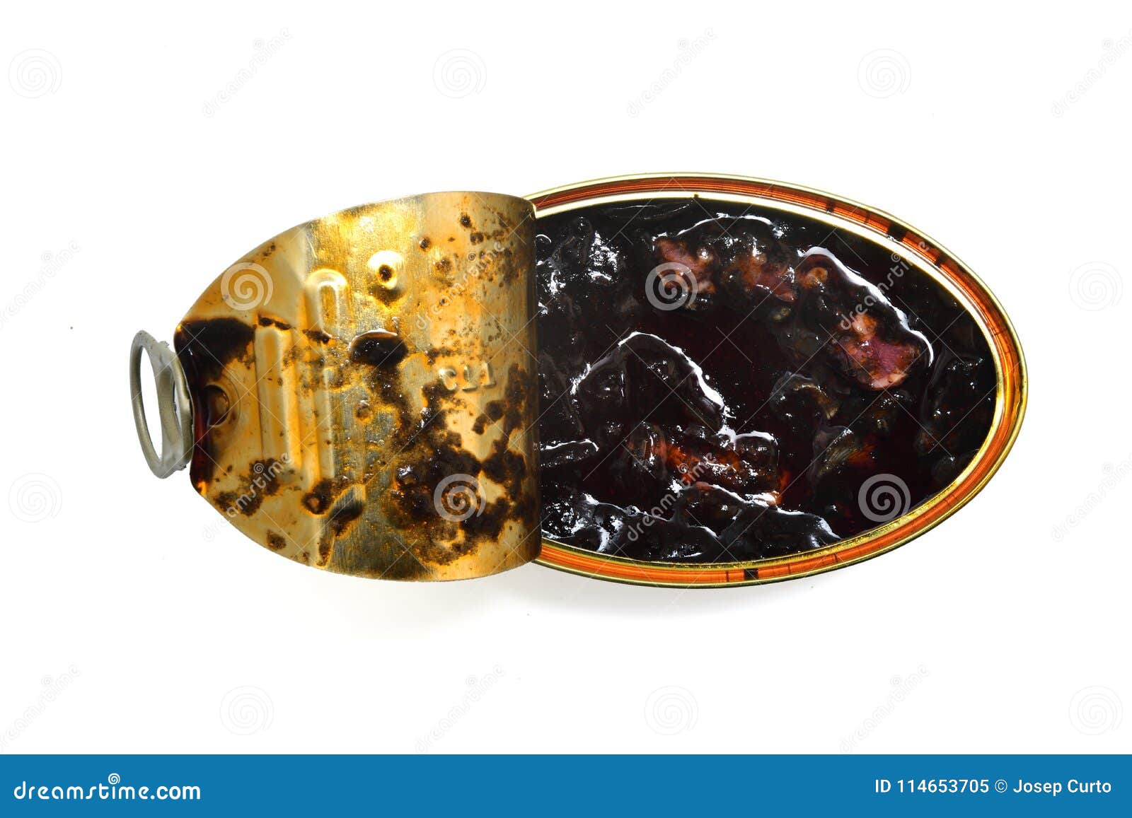 Squid with ink isolated on stock image. Image of aluminum - 114653705