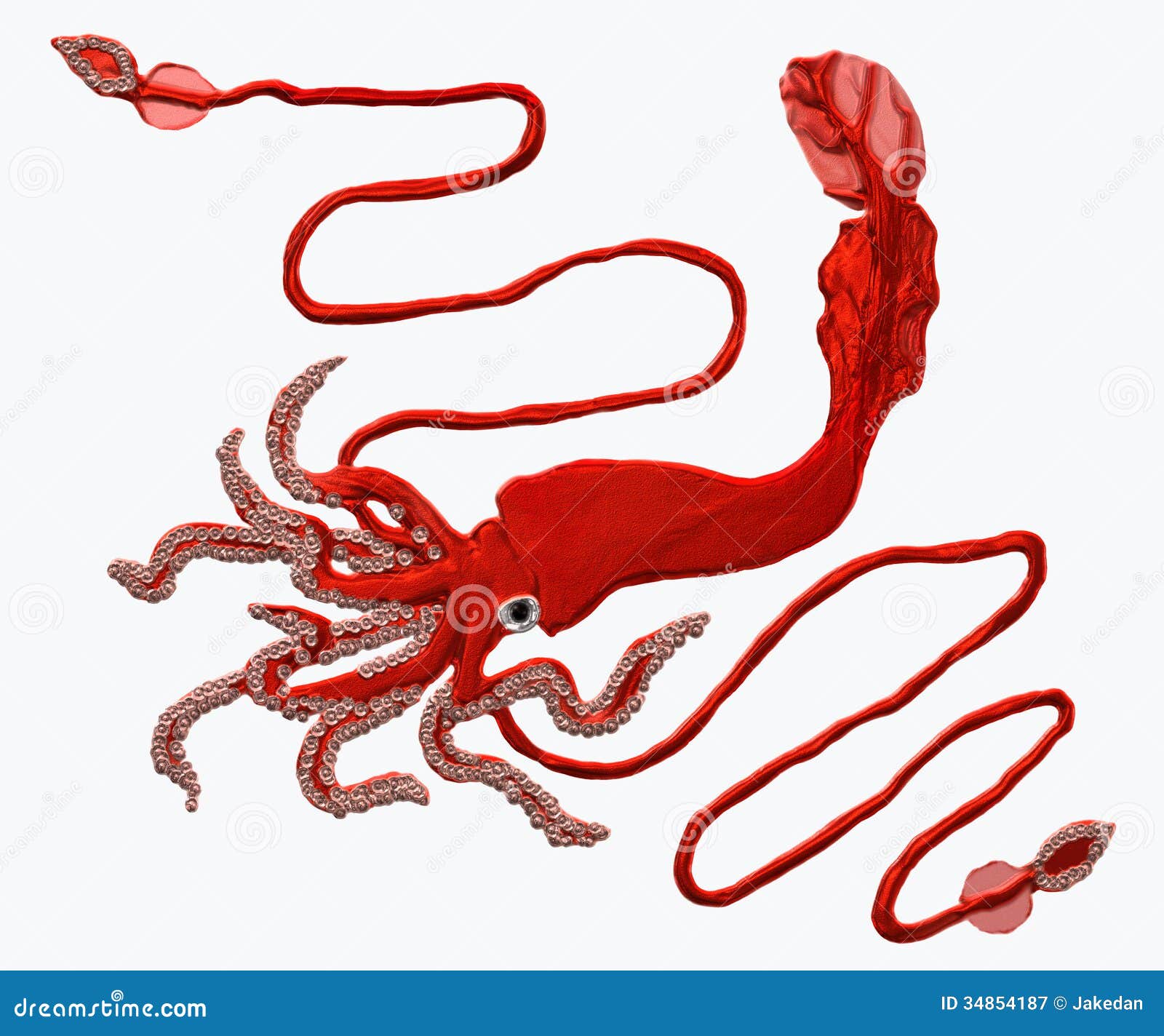 Squid with leaf tail stock image. Image of wild, hunter - 34854187