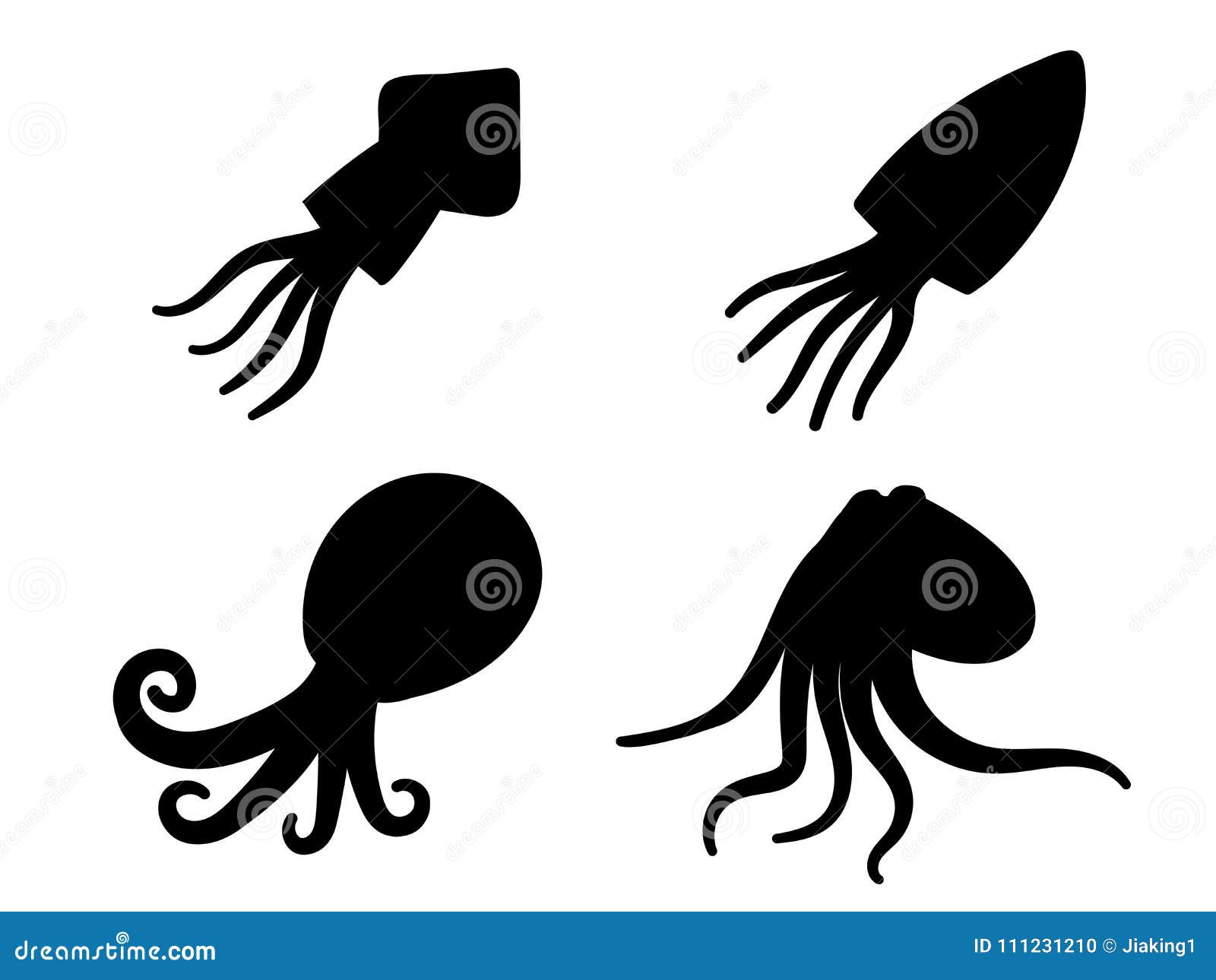 Squid, Octopus And Cuttlefish In Icons And Symbol Vector Illustration ...