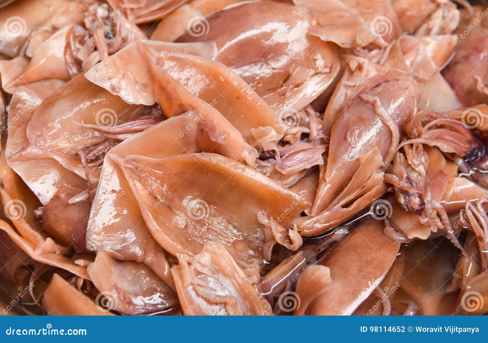 Squid pickled stock photo. Image of pickle, delicious - 98114652