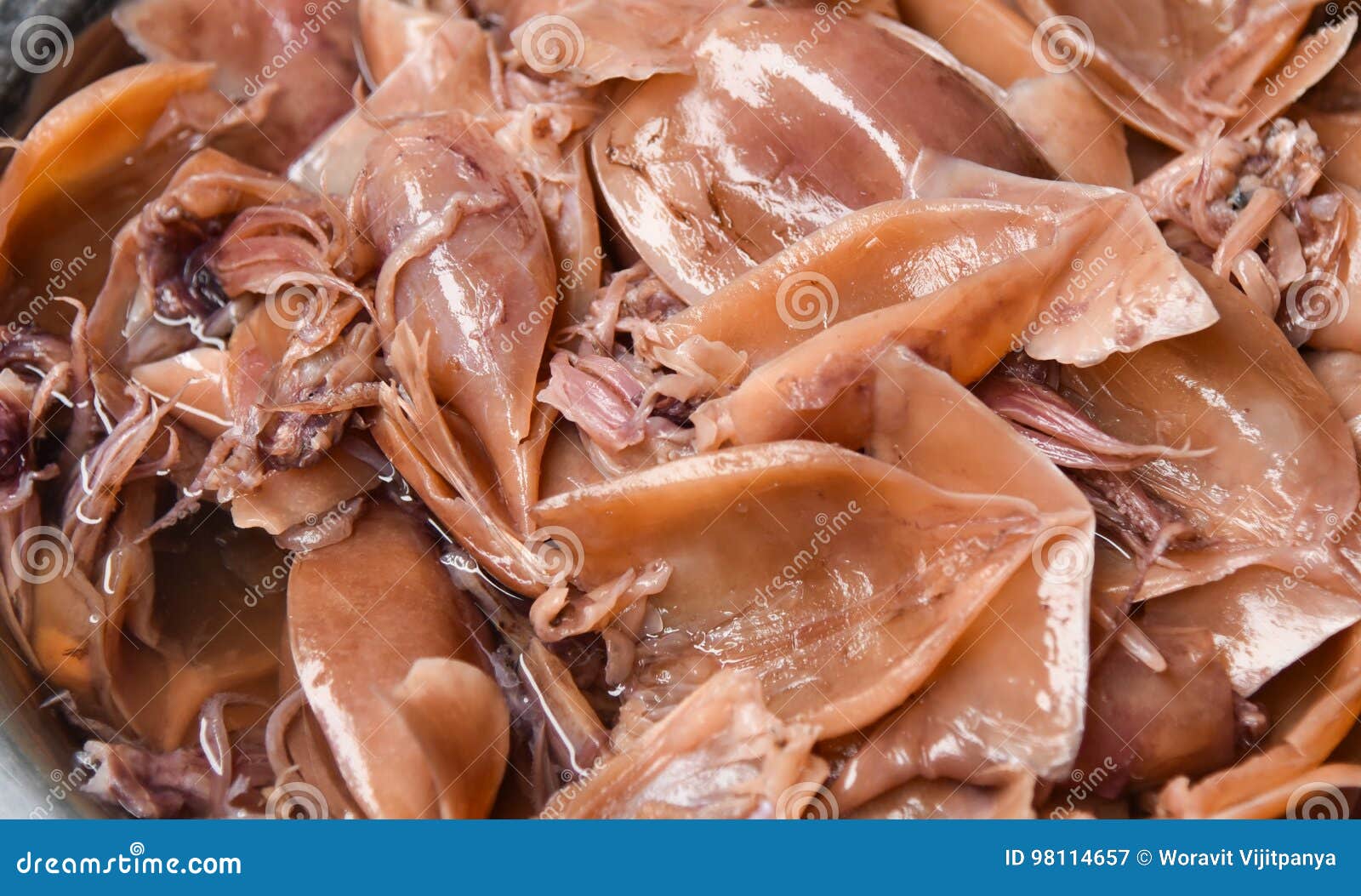 Squid pickled stock image. Image of market, store, nutrition - 98114657