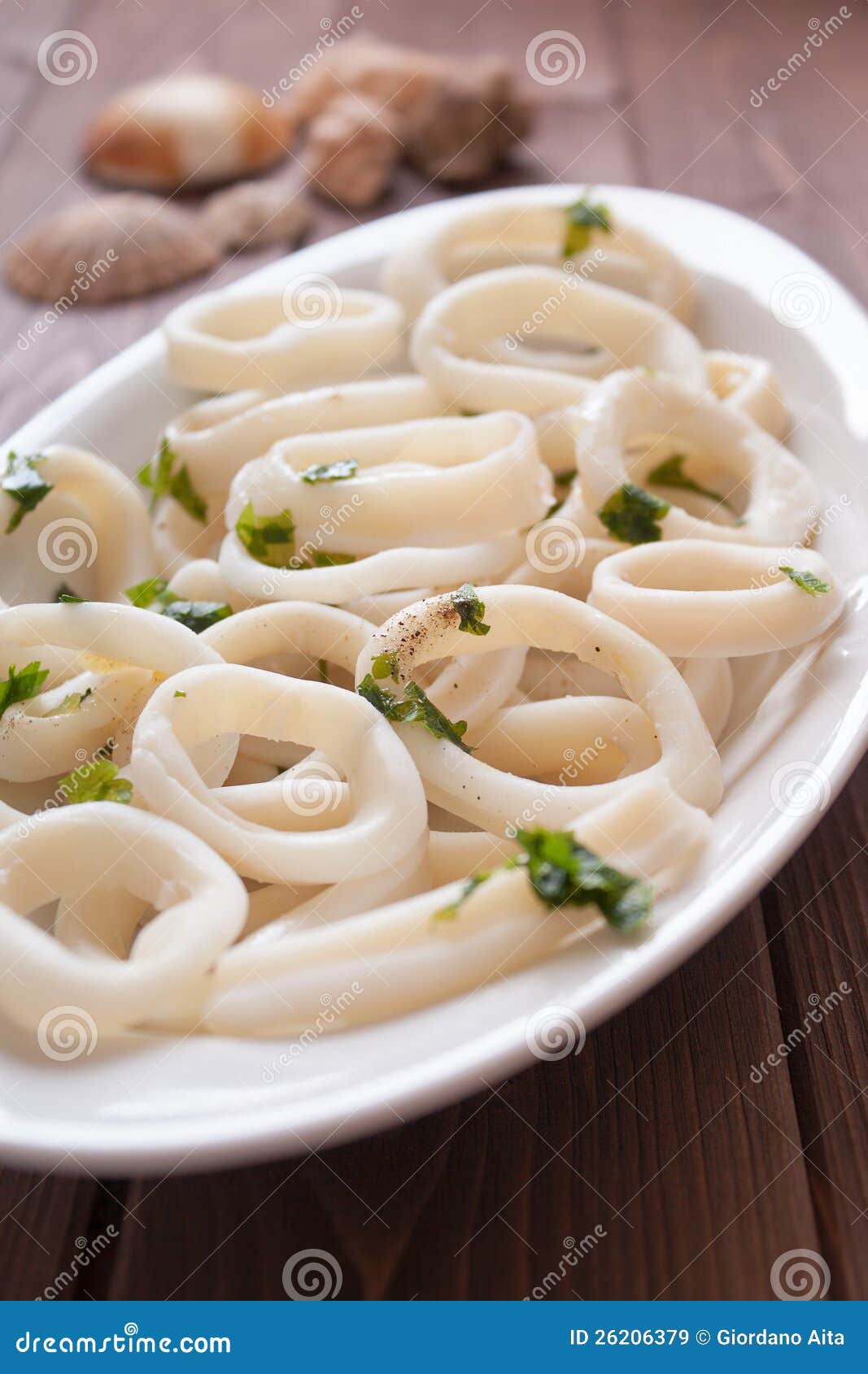 Squid rings stock image. Image of garlic, meal, dish - 26206379