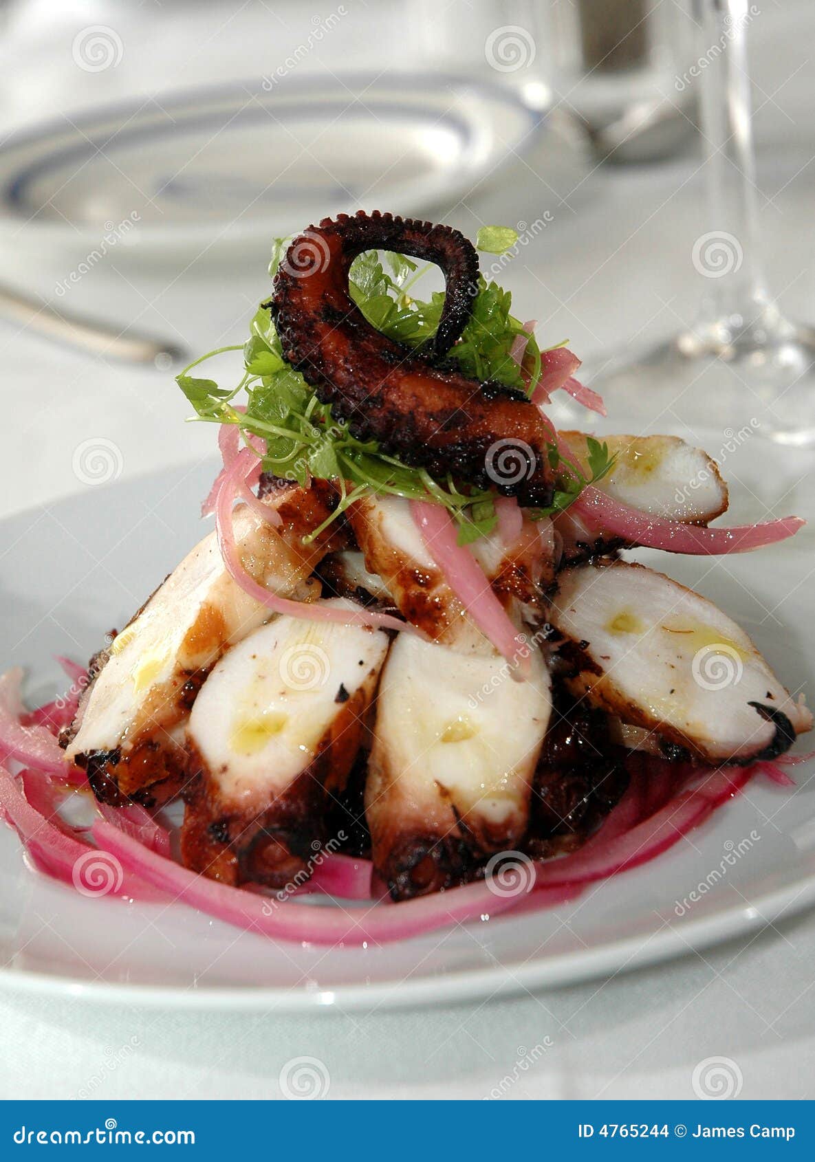 Squid Salad With Chilli Sauce Spicy Herbs And Spices Grilled Squid ...