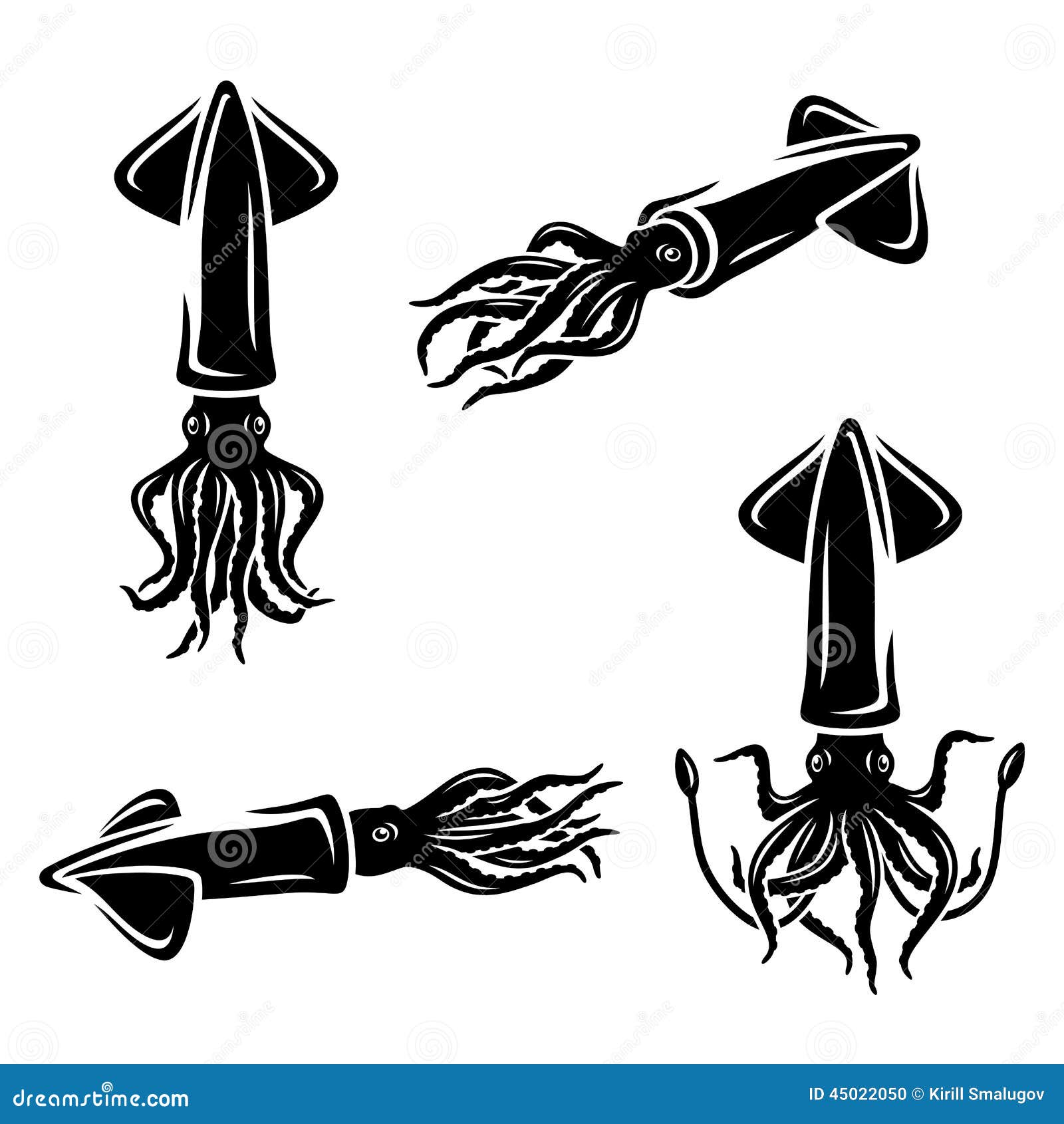 Squid set. Vector stock vector. Illustration of animal - 45022050