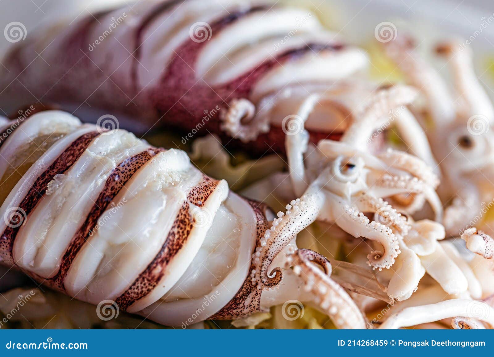 Squid on a Stick stock image. Image of food, thai, fresh - 214268459