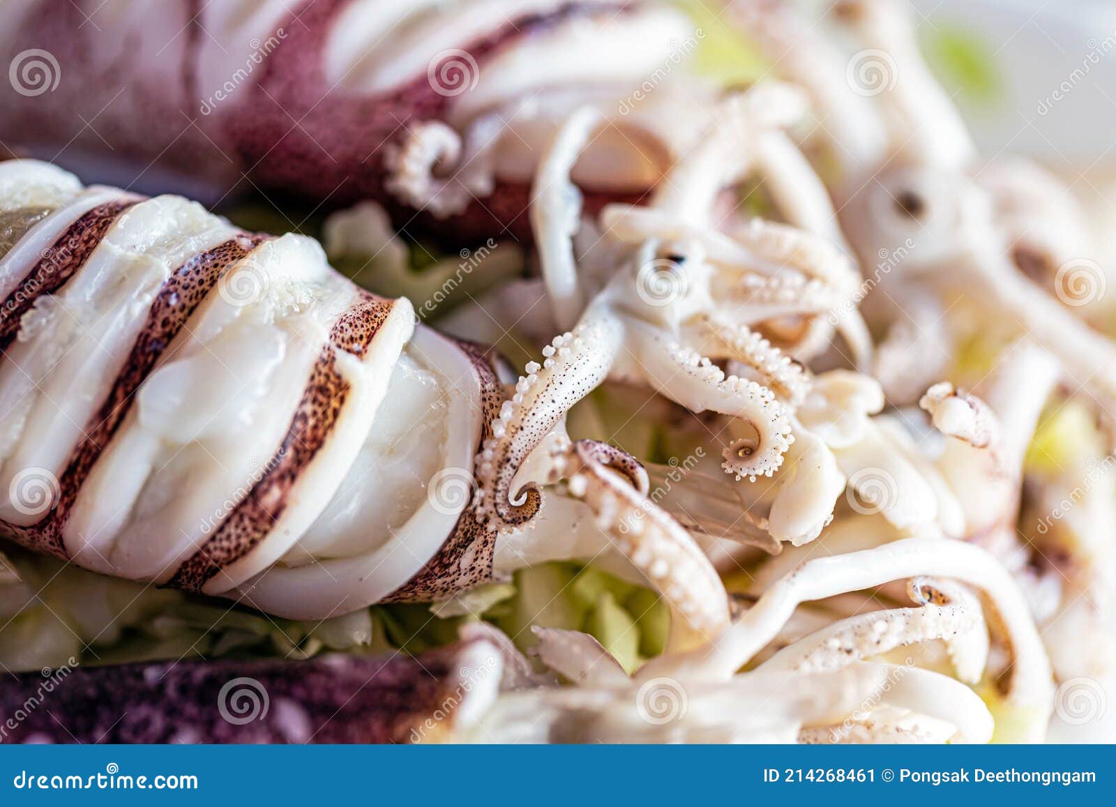 Squid on a Stick stock image. Image of gourmet, octopus - 214268461
