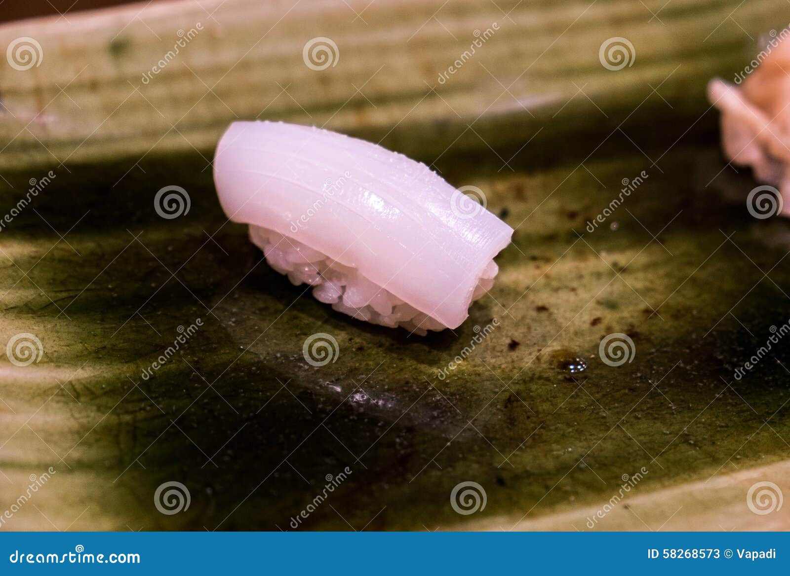 Squid sushi stock image. Image of japanese, omakase, pink - 58268573