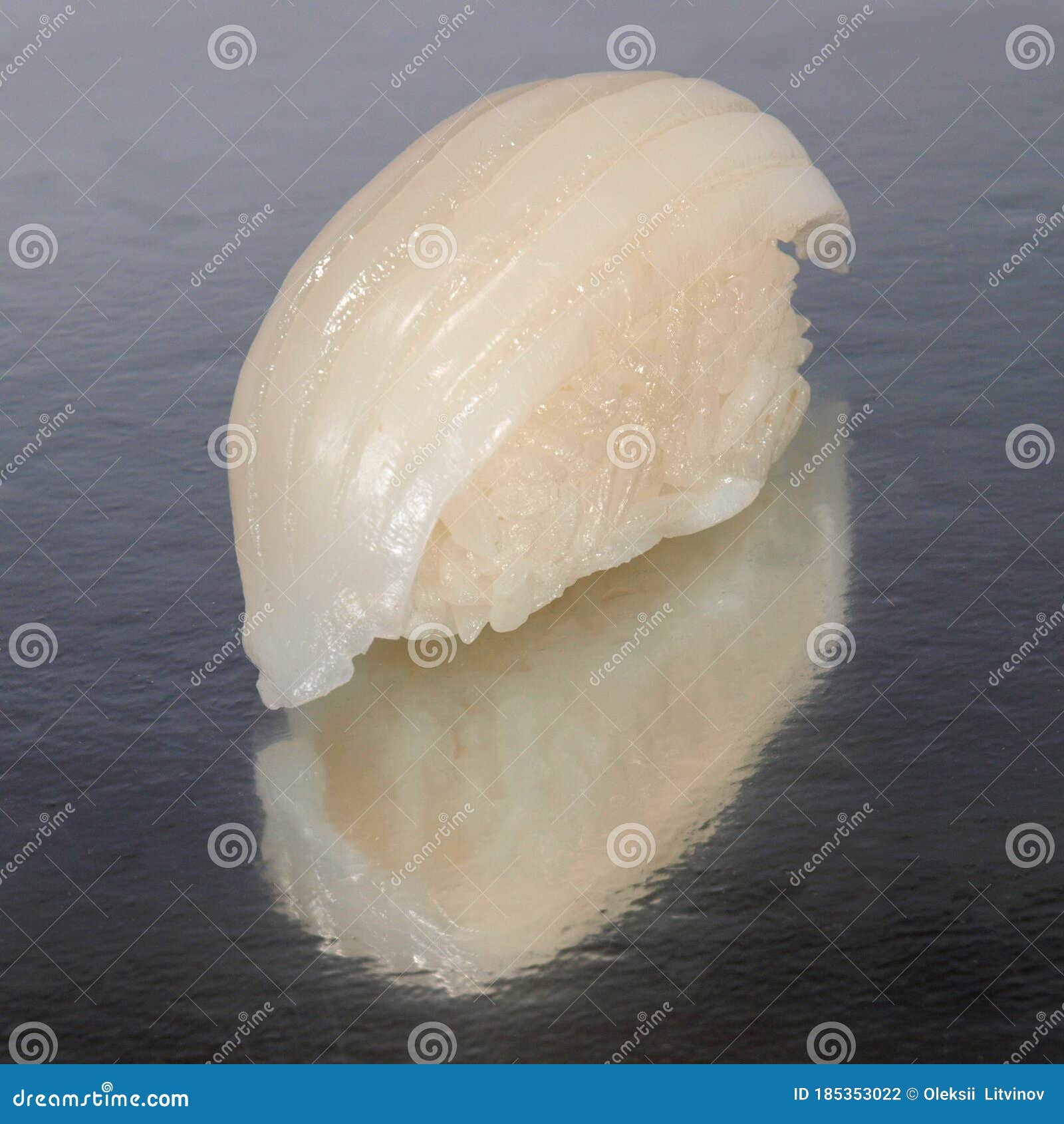 Squid Sushi on a Shiny Surface. Japanese Kitchen Stock Photo - Image of ...