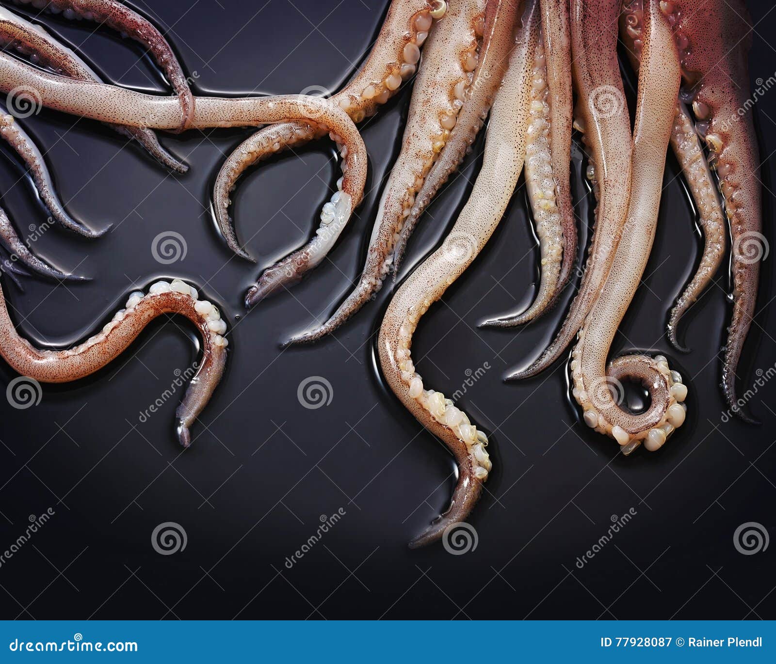 2,454 Squid Meat Black Background Photos - Free & Royalty-Free Stock ...