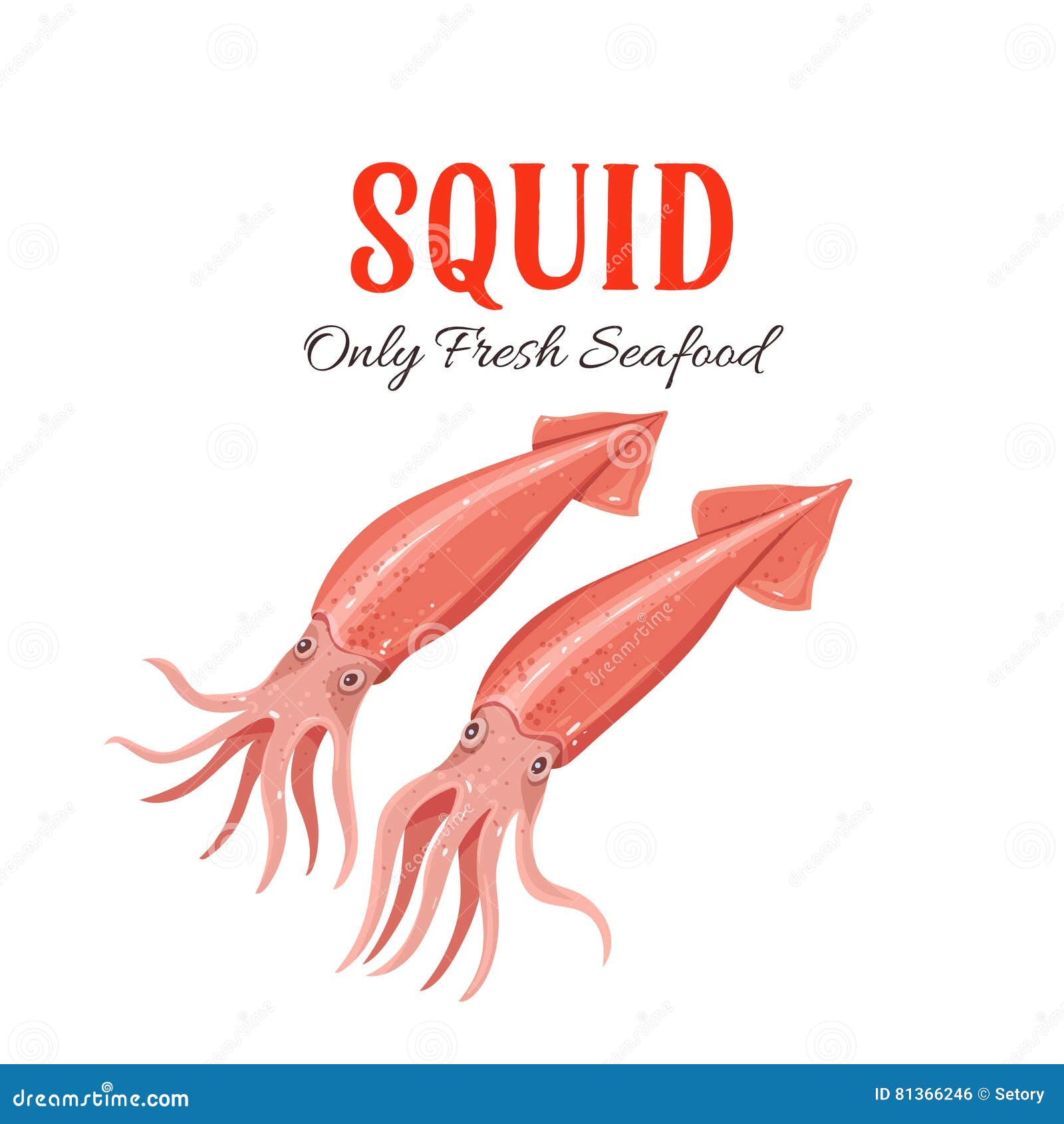 Squid Vector Illustration in Cartoon Style. Stock Vector - Illustration ...