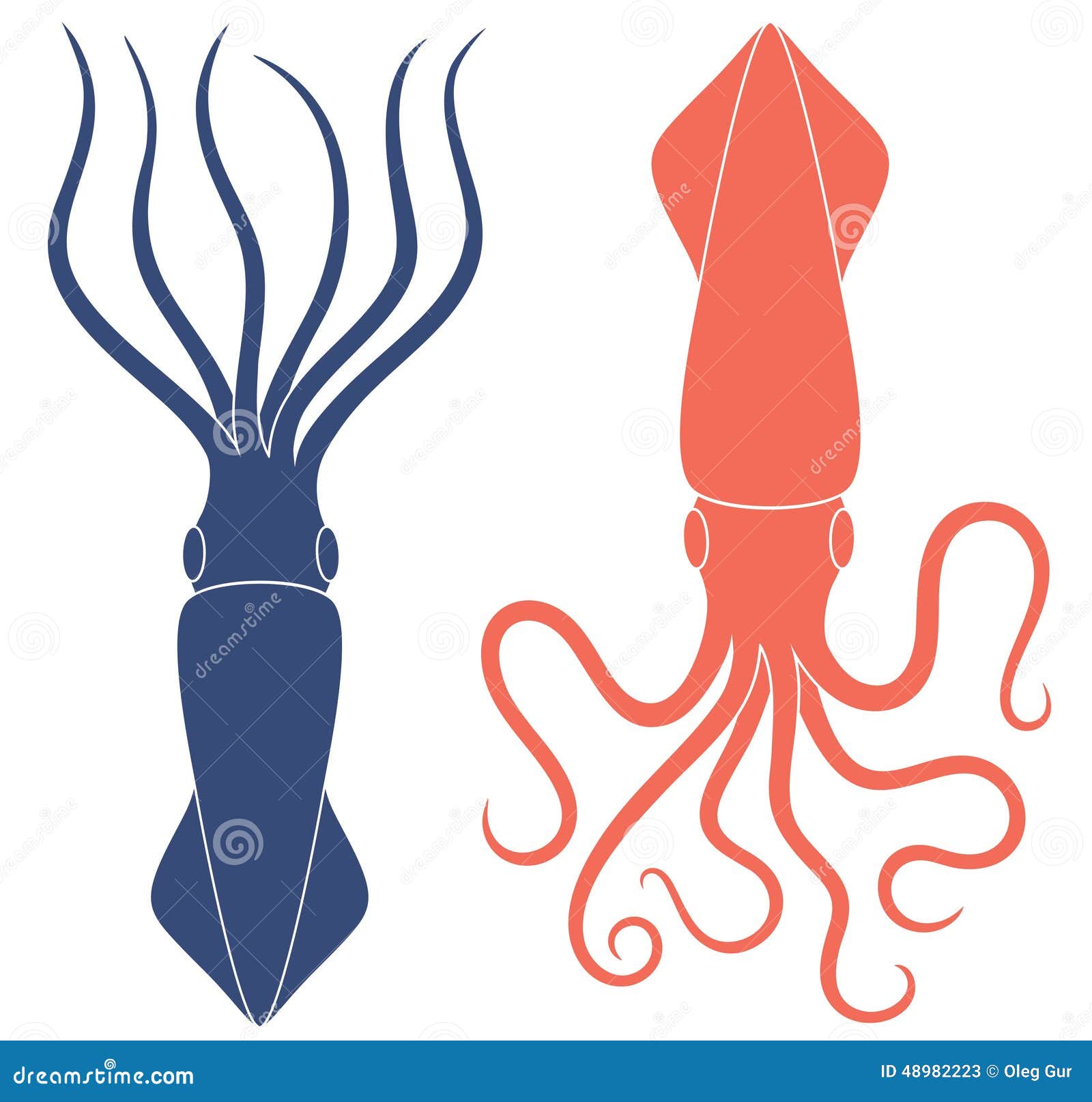Squid stock vector. Illustration of blue, atlantic, design - 48982223