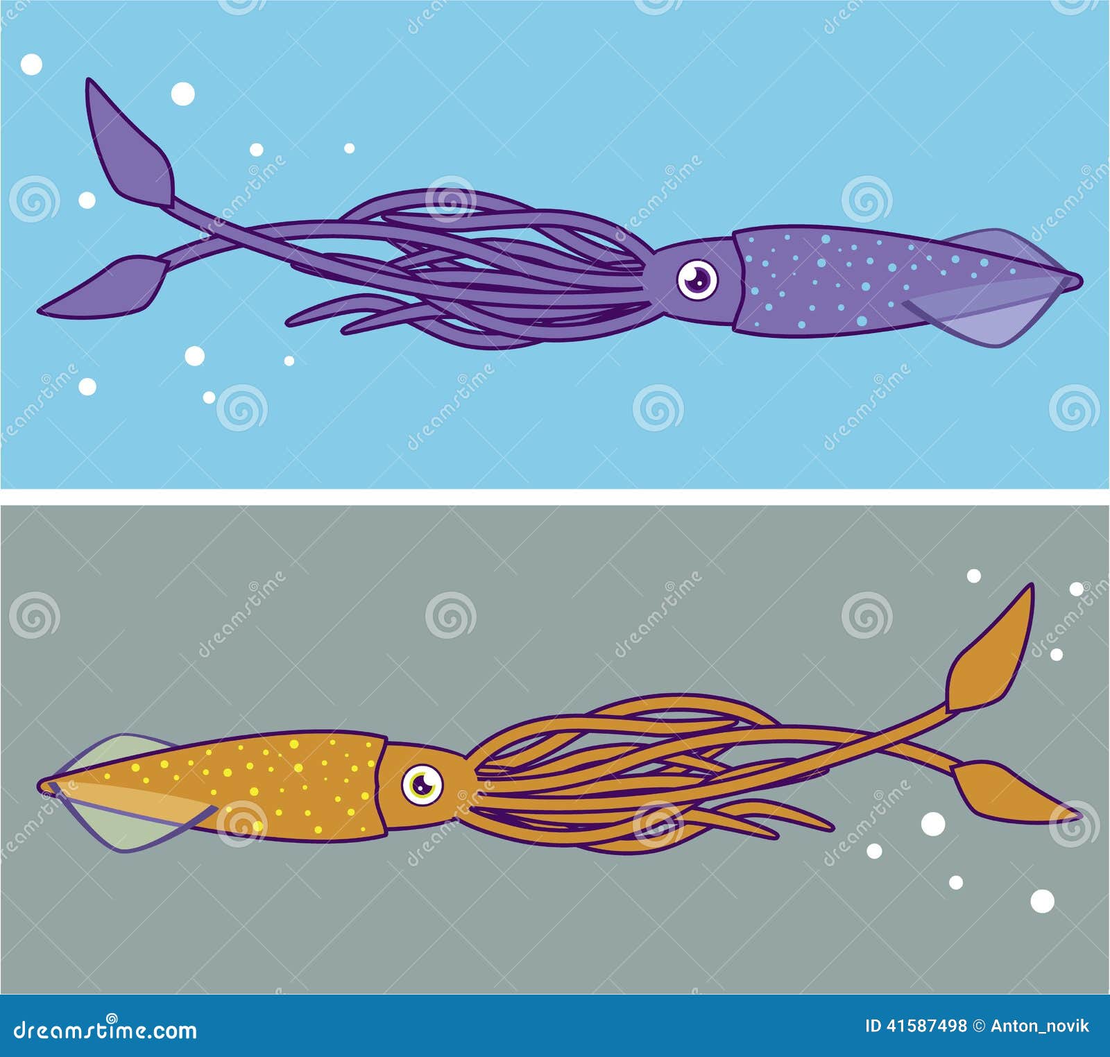 Squid vector stock vector. Illustration of cartoon, longfin - 41587498