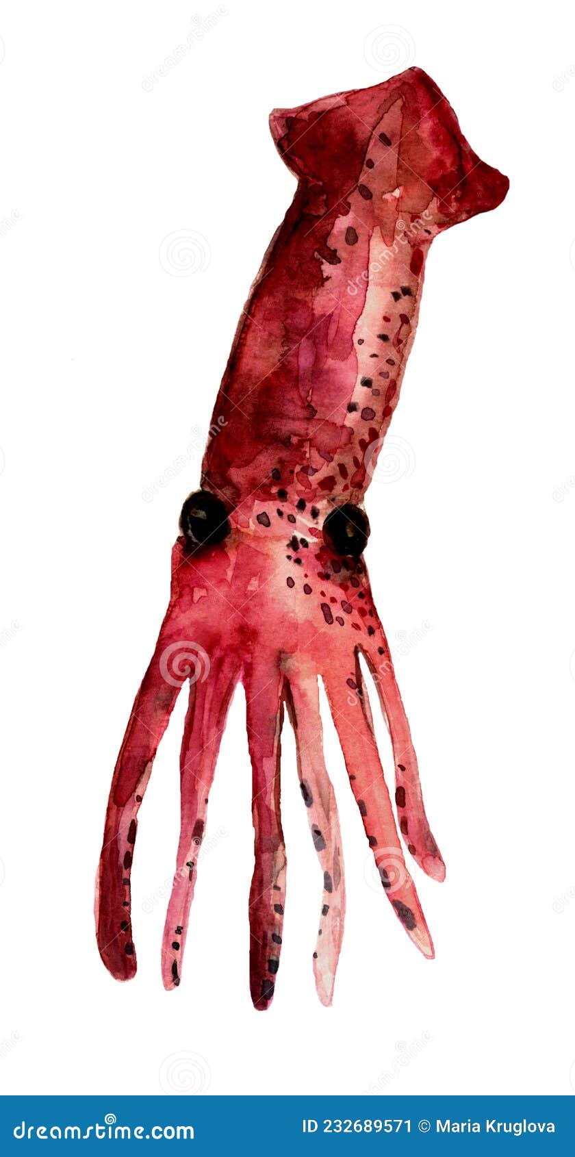 Squid Watercolor Image. Hand Painted Marine Cephalopod Animal. Tasty ...