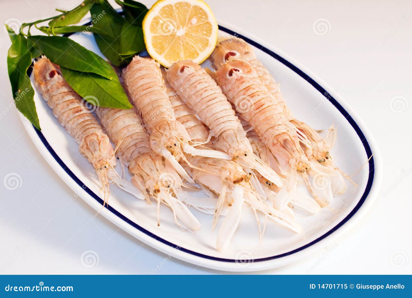 Squilla mantis stock image. Image of cooked, cutting - 14701715