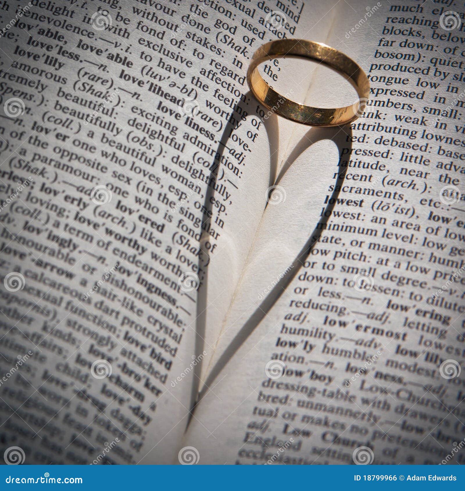 Squilli Lanciando Un'ombra Heart-shaped in Un Libro. Fotografia Stock ...