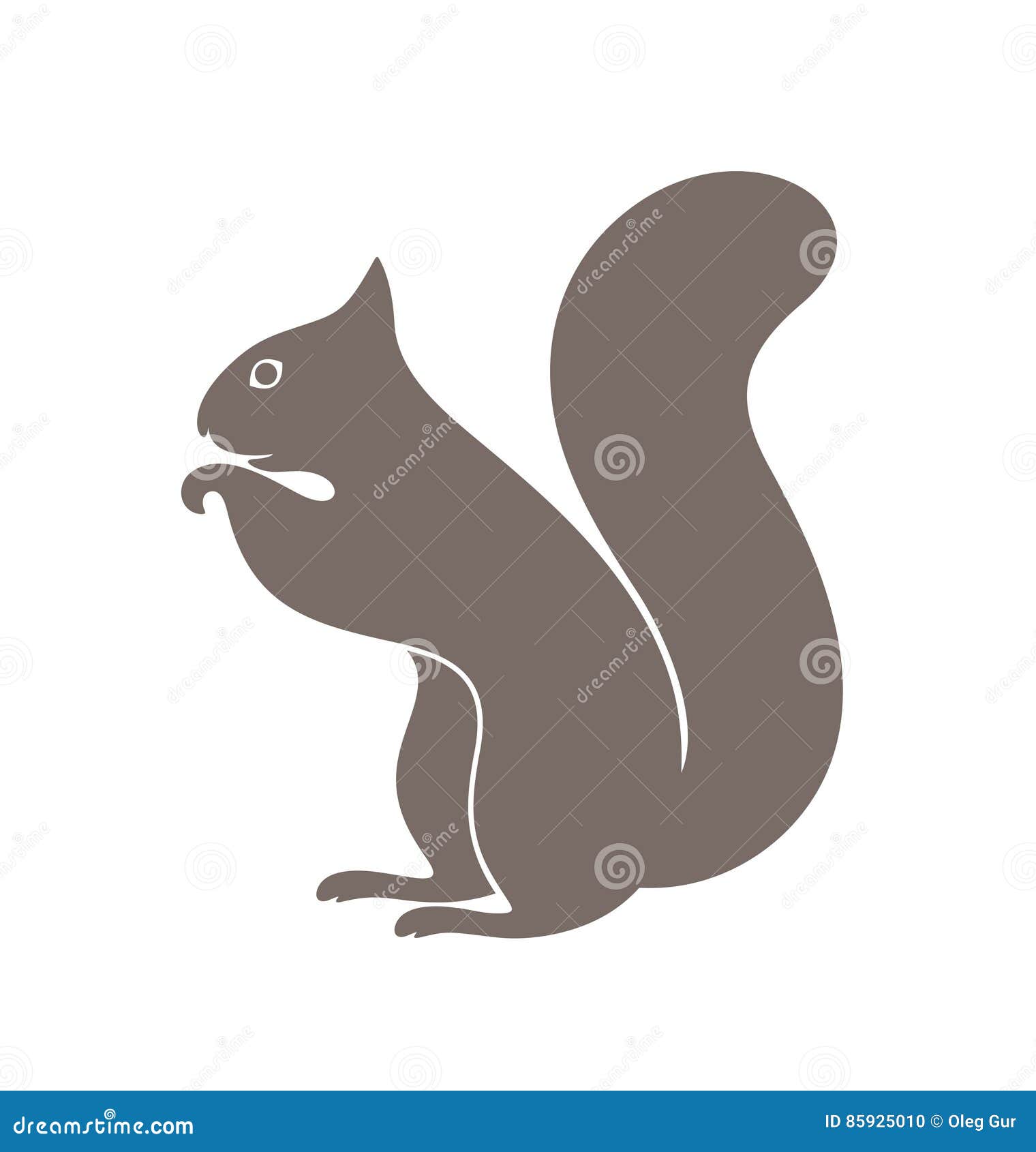 Squirrel, Animal stock vector. Illustration of sign, brown - 85925010