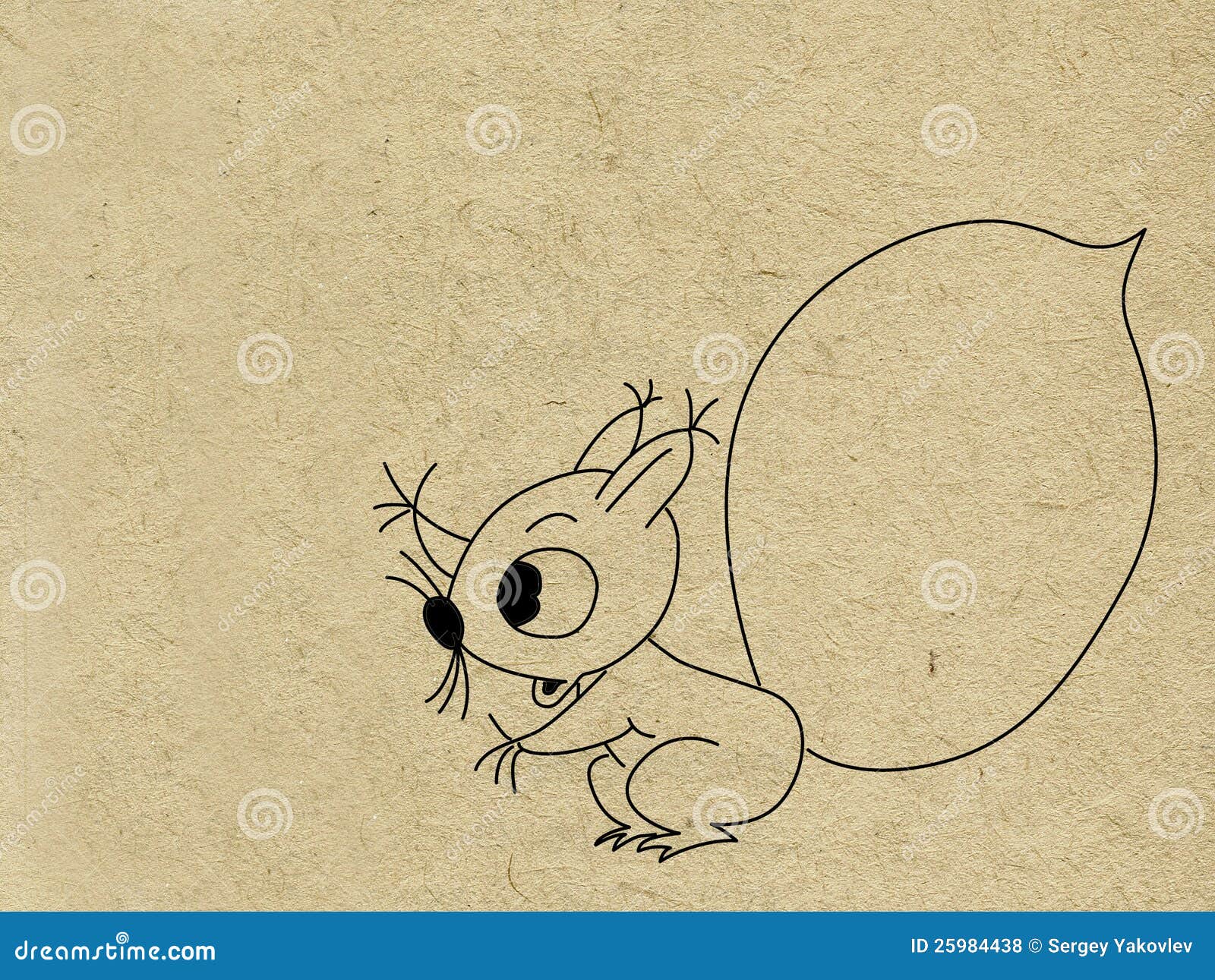 Squirrel Drawing. Squirrel Head Full Face. Simple Line Drawing Of A ...