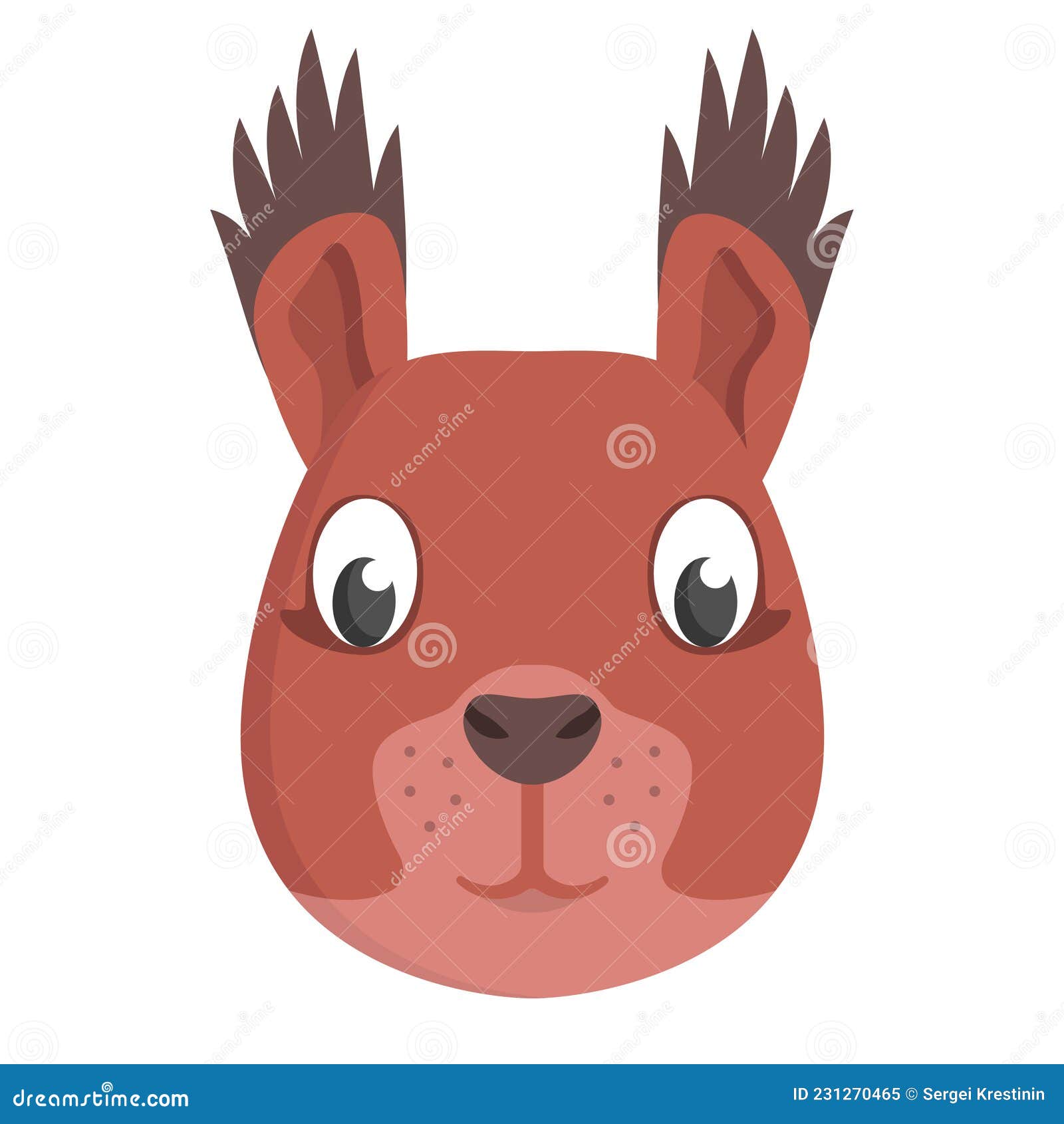 Red Squirrel, Front View Of Sciurus Vulgaris, Isolated On White ...