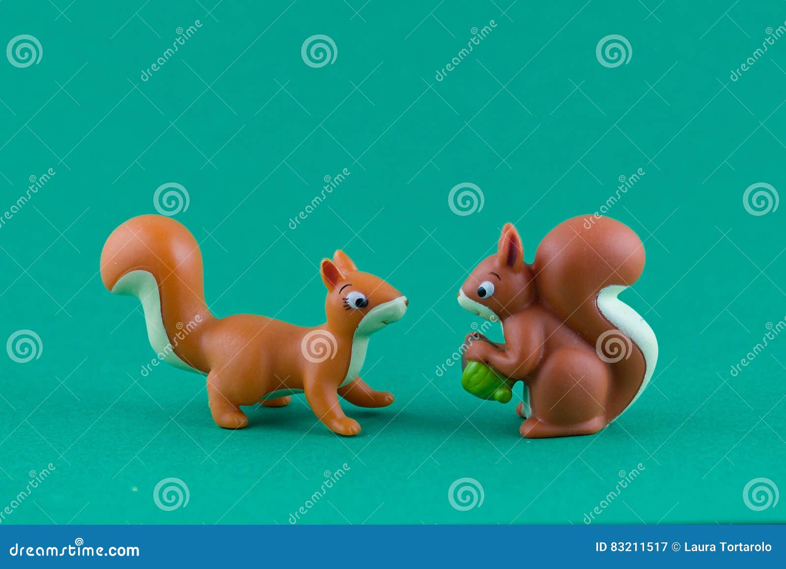 The Squirrel Family stock image. Image of closeup, mammal - 83211517
